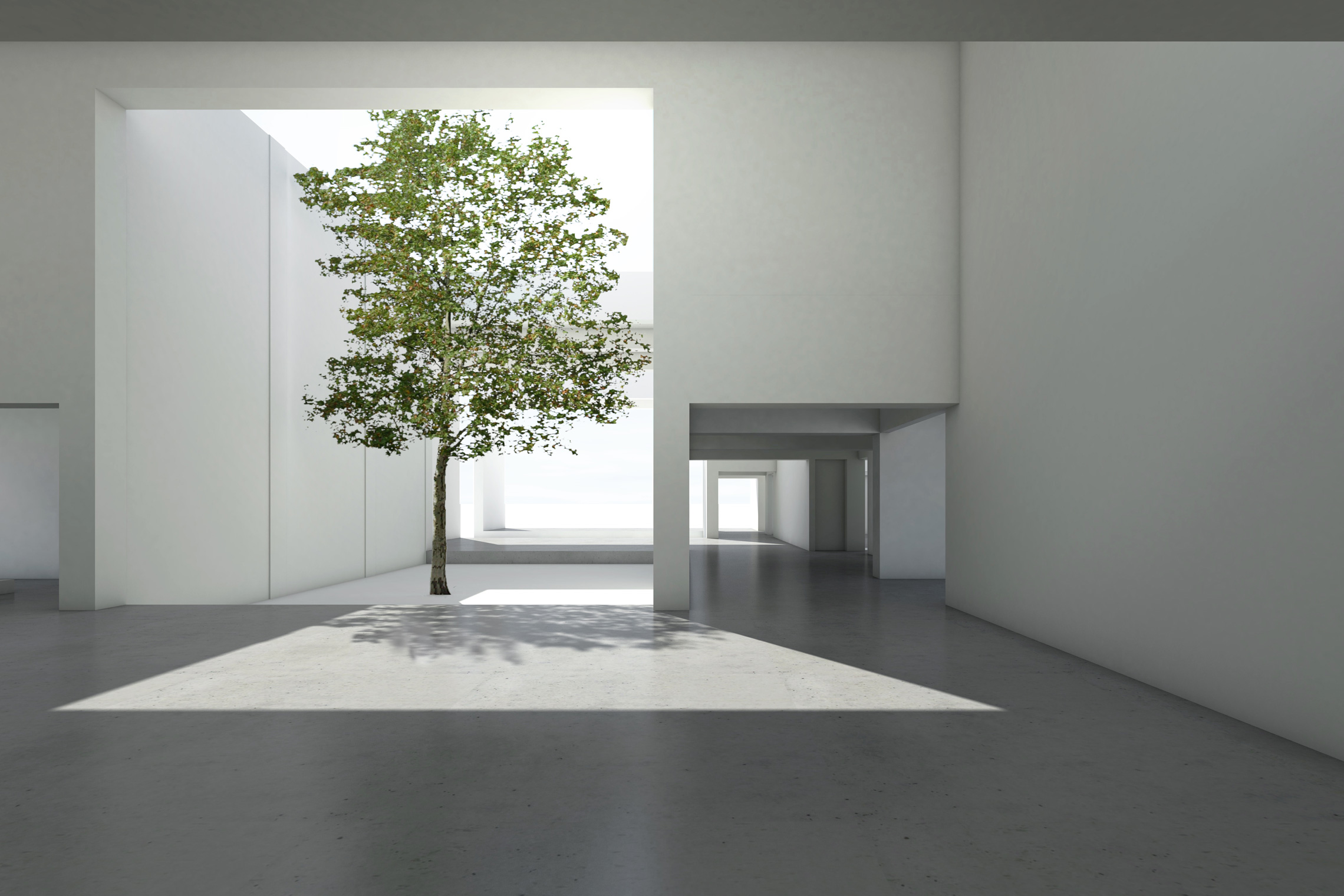 Five Houses by HHF Architects - Architizer