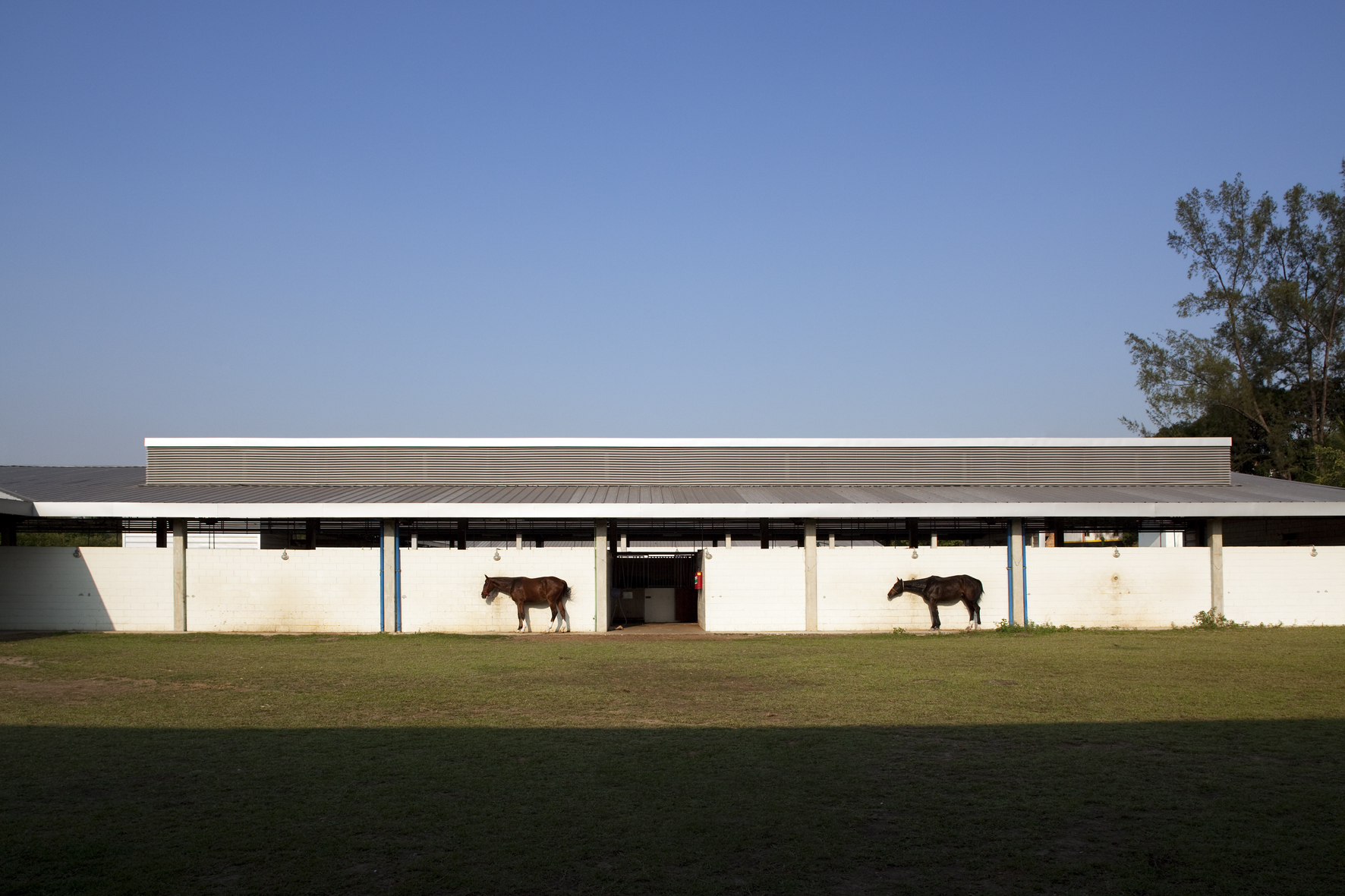 Brazilian National Equestrian Center by BCMF Arquitetos - Architizer