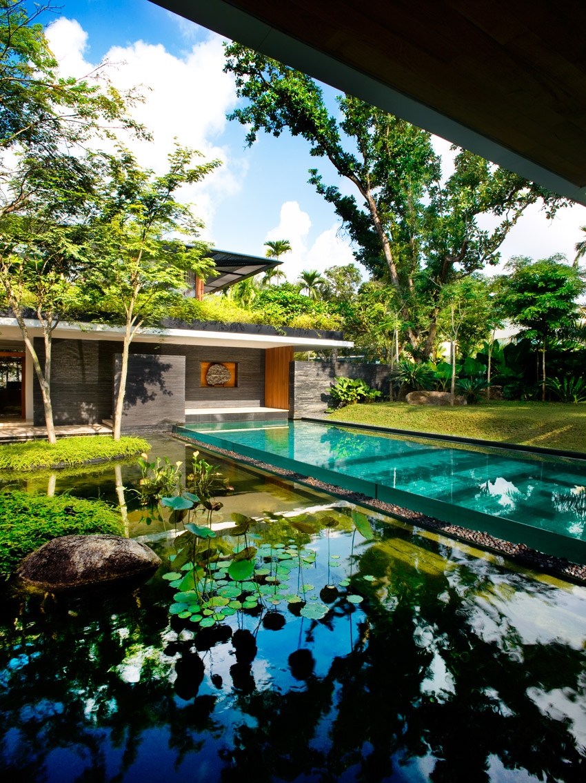 Cluny House by Guz Architects - Architizer