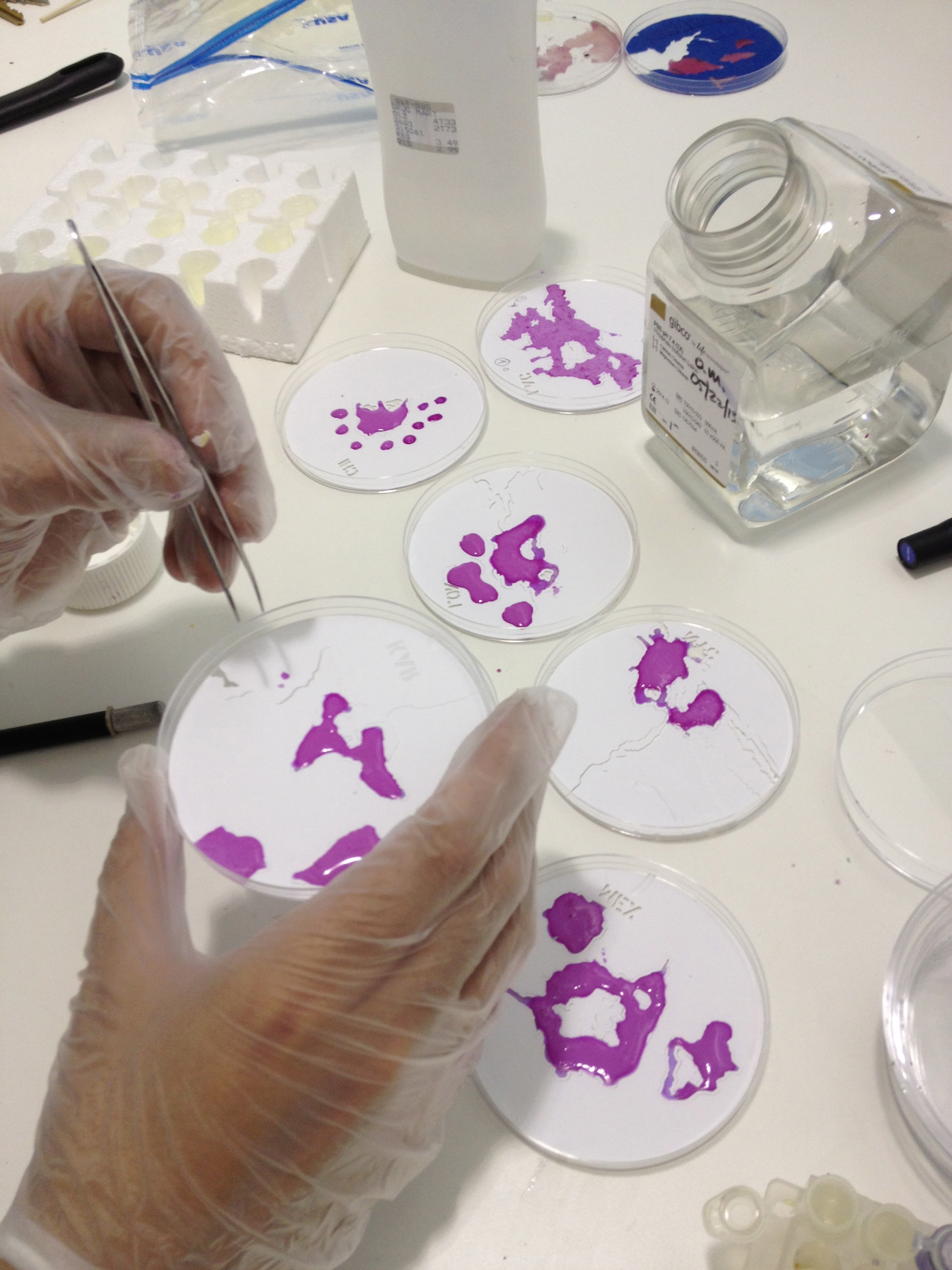 Bio City World Map of 11 Billion by Terreform ONE - Architizer