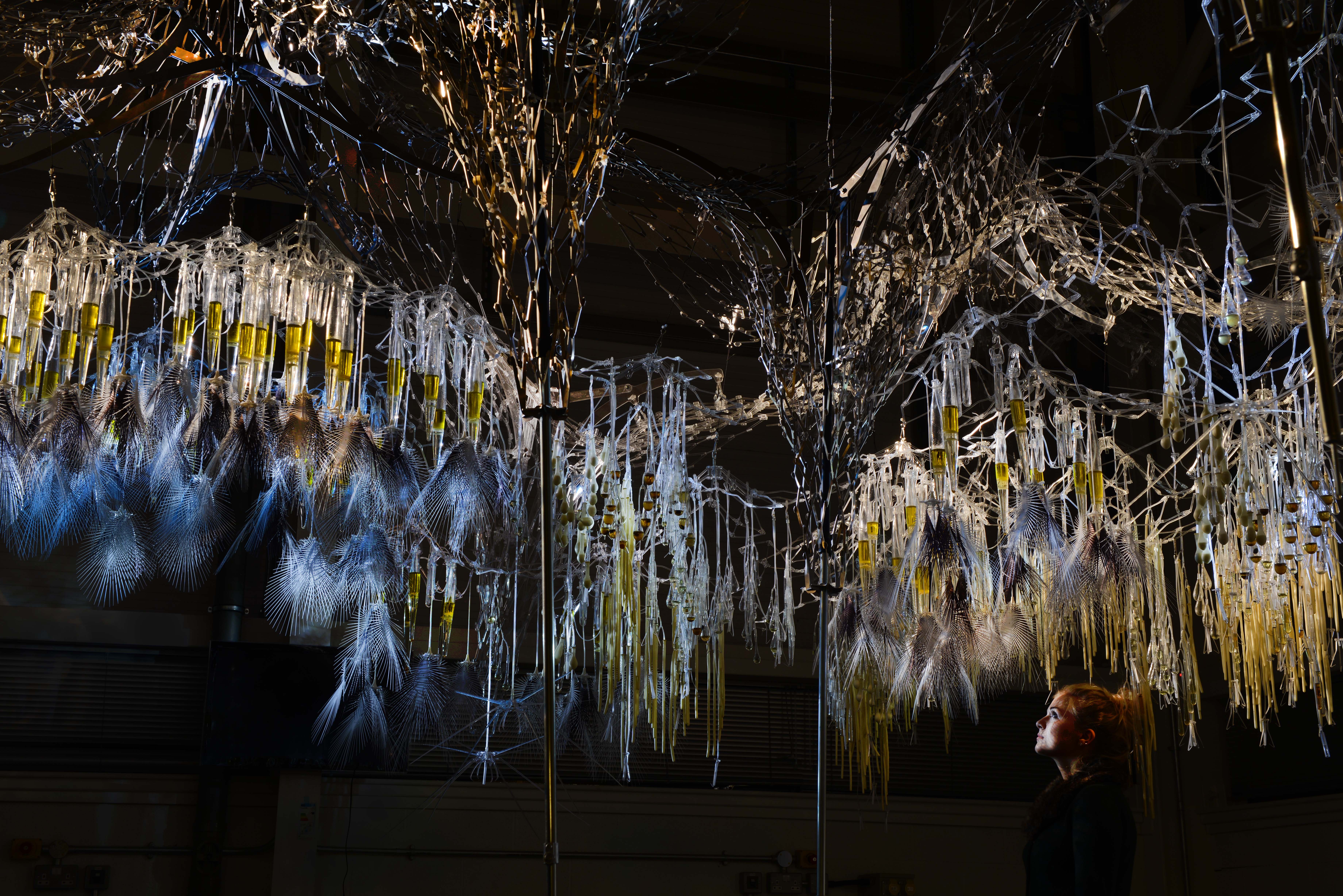 The Hylozoic Series by Philip Beesley Architect Inc. - Architizer