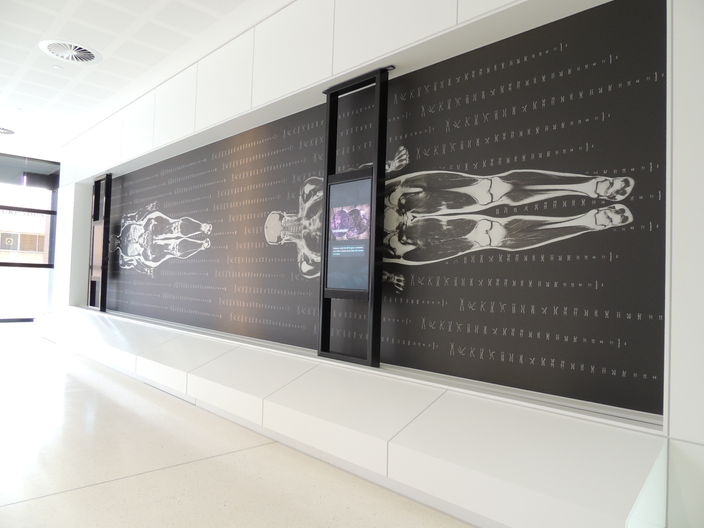 Harry Perkins Institute of Medical Research by Hames Sharley - Architizer