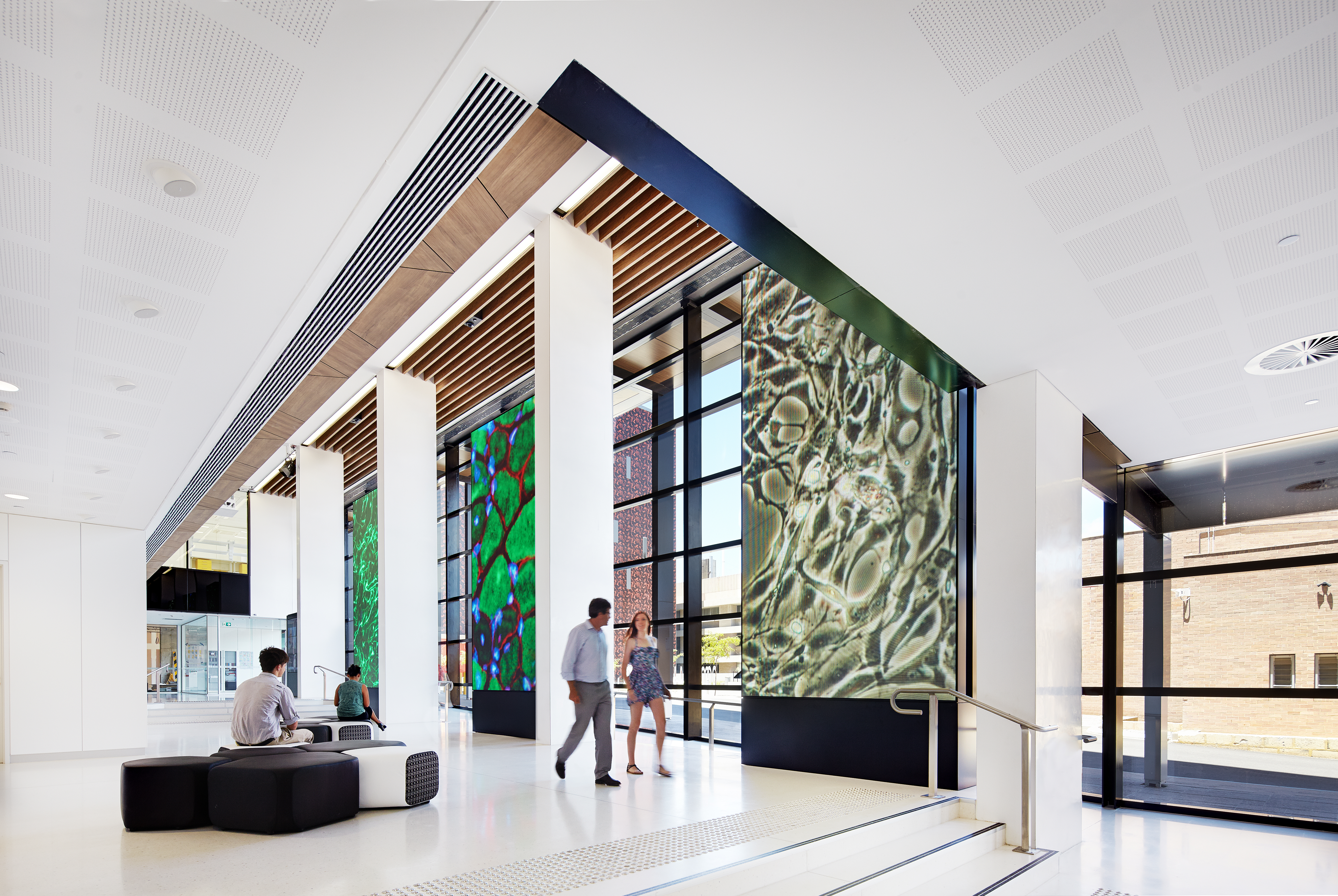 Harry Perkins Institute of Medical Research by Hames Sharley - Architizer