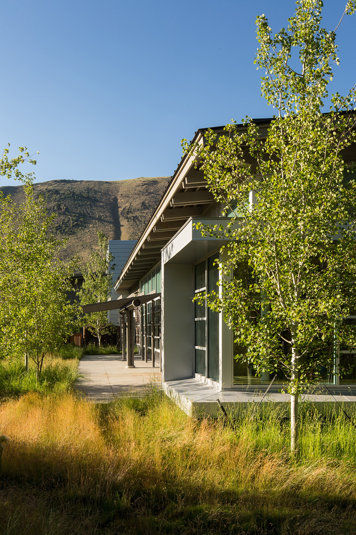 Teton County Library by Humphries Poli Architects - Architizer