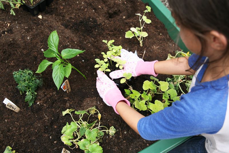 gro-POD by METALAB - Architizer