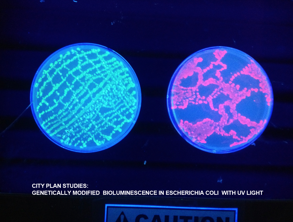 Bio City World Map of 11 Billion by Terreform ONE - Architizer