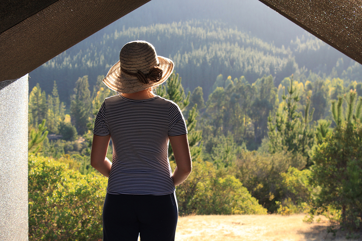 Gualleco's Tactical Observation Deck by RojasBöttner - Architizer