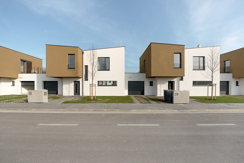 The Sunflowers by Compass Architekti - Architizer