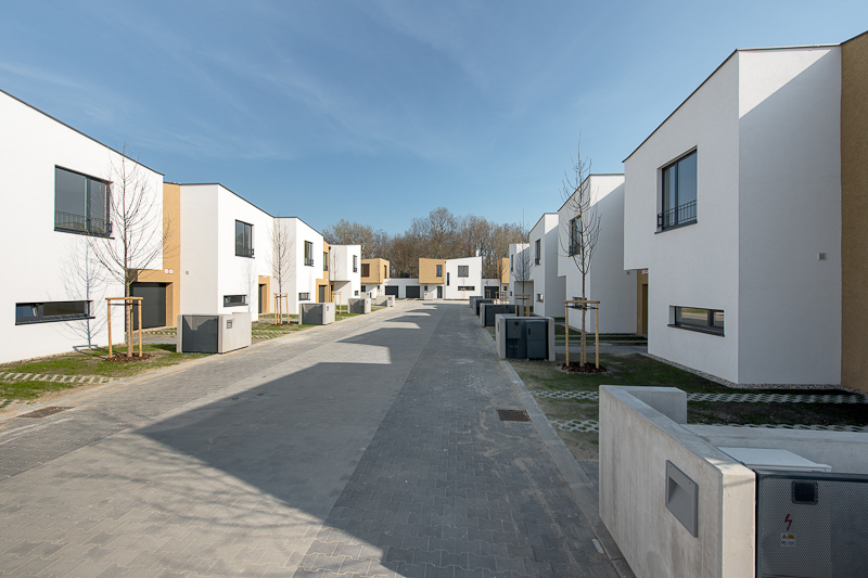 The Sunflowers by Compass Architekti - Architizer