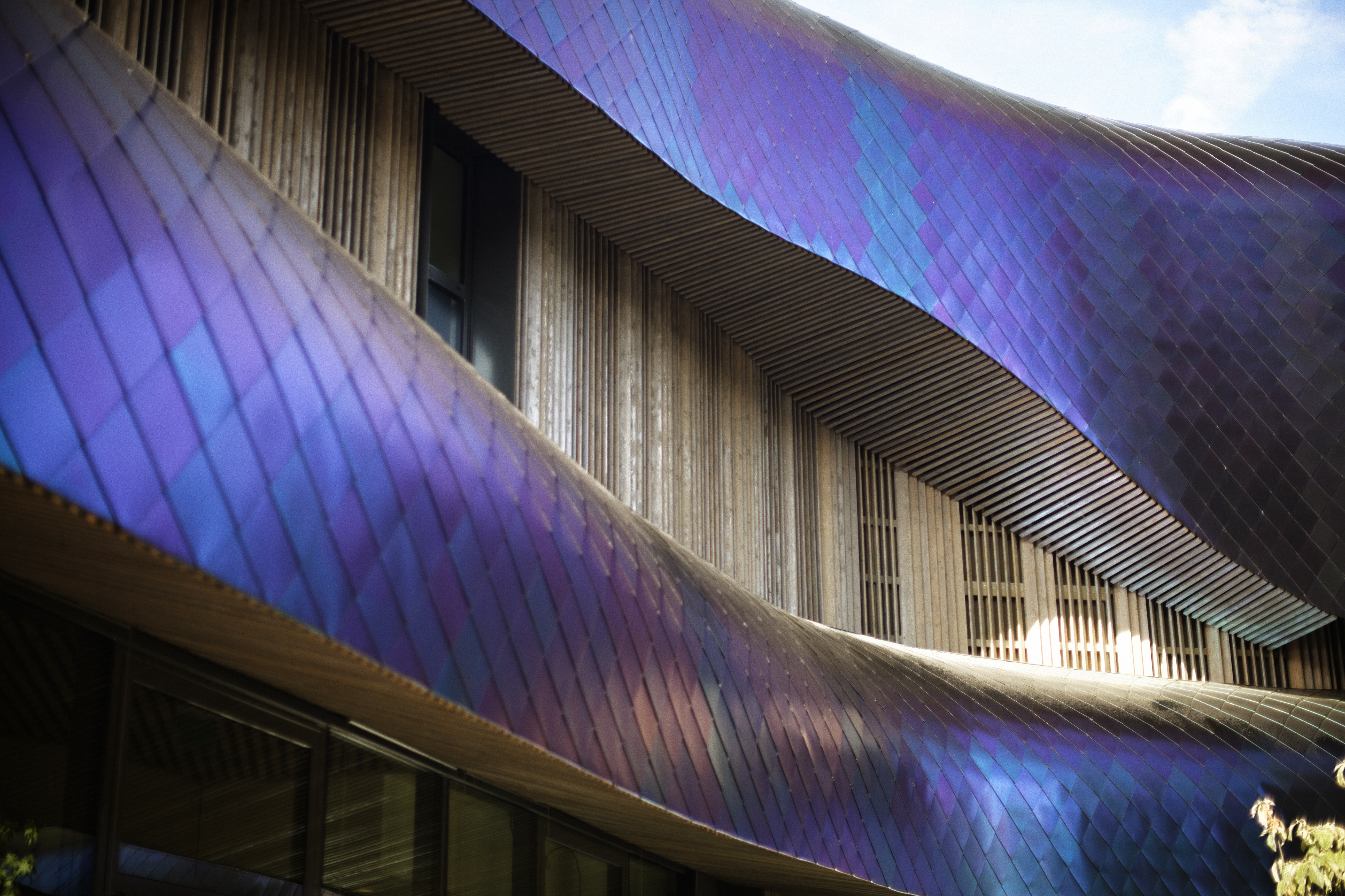 IN/OUT - The amenities wing and the new lobby by Jouin Manku and DTACC ...