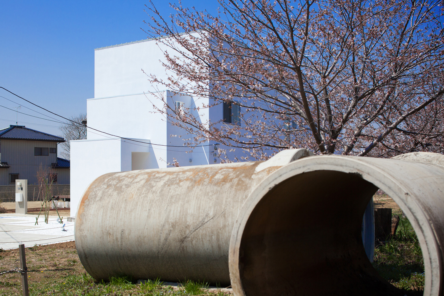 Ripple House by Kichi Architectural Design - Architizer