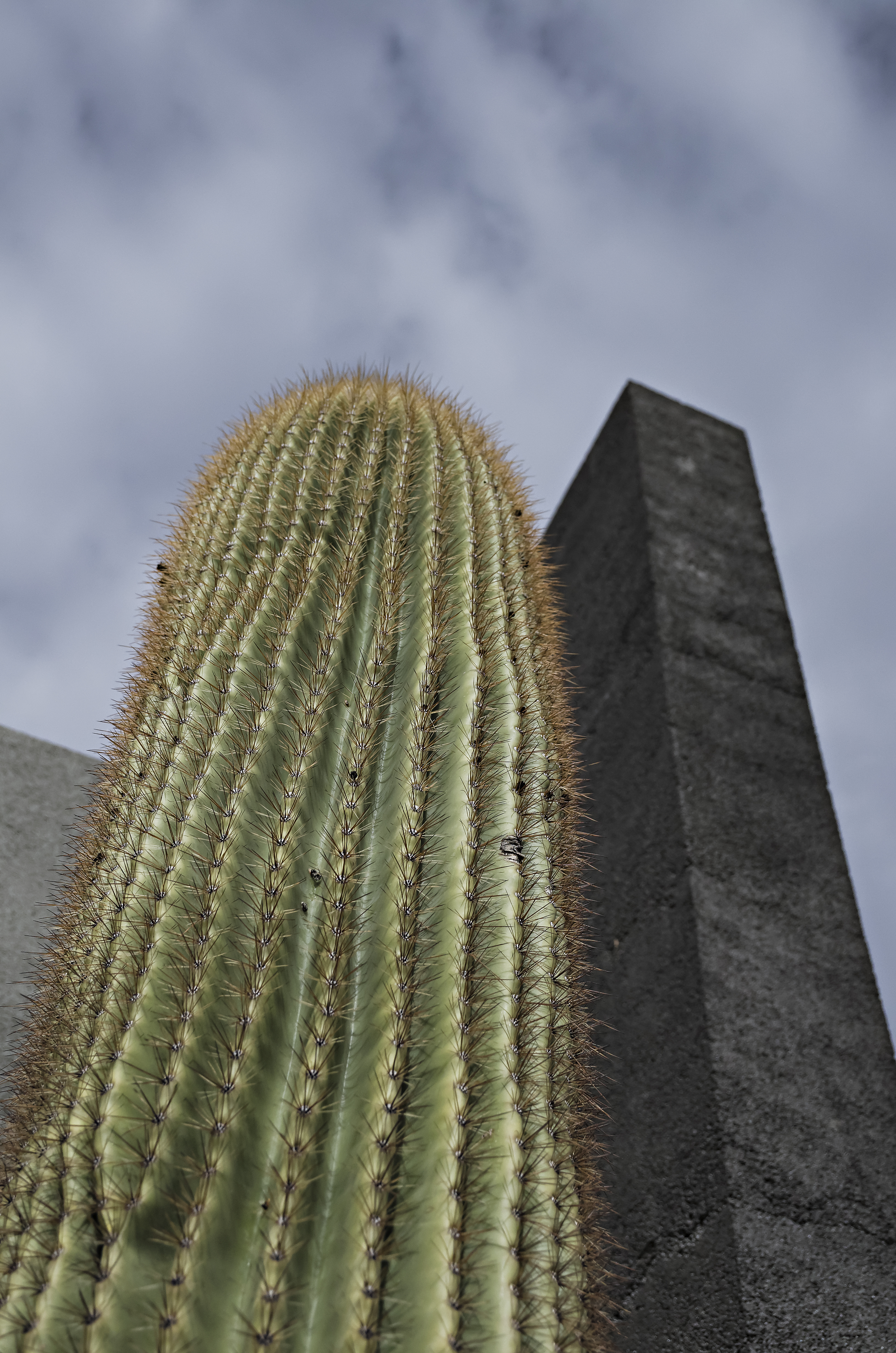 LAVA House by DesignBuild Collaborative - Architizer