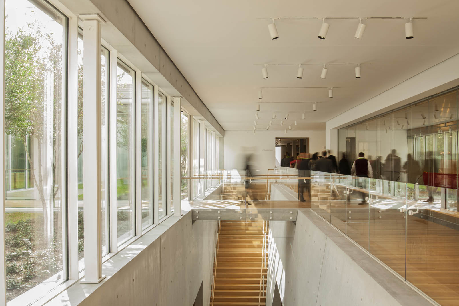 Kimbell Art Museum Expansion - Architizer