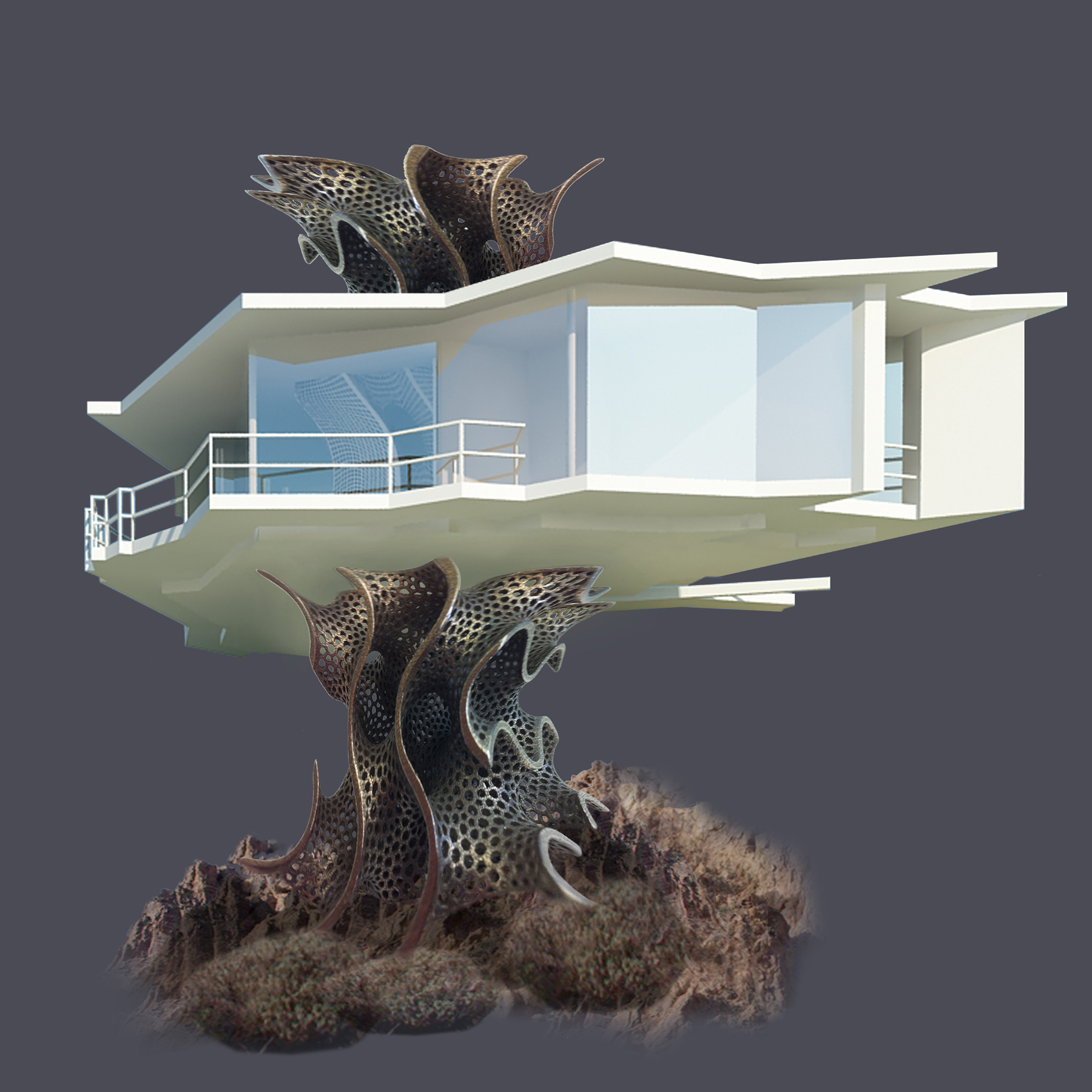 Grapevine House by Peter Stasek Architects - Corporate Architecture ...