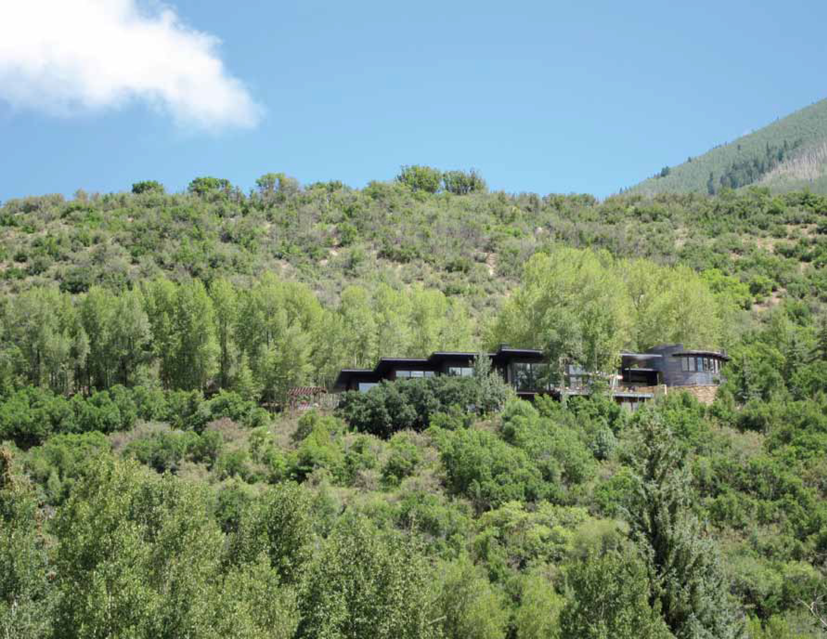 Stealth House by Walter Chatham Architect - Architizer