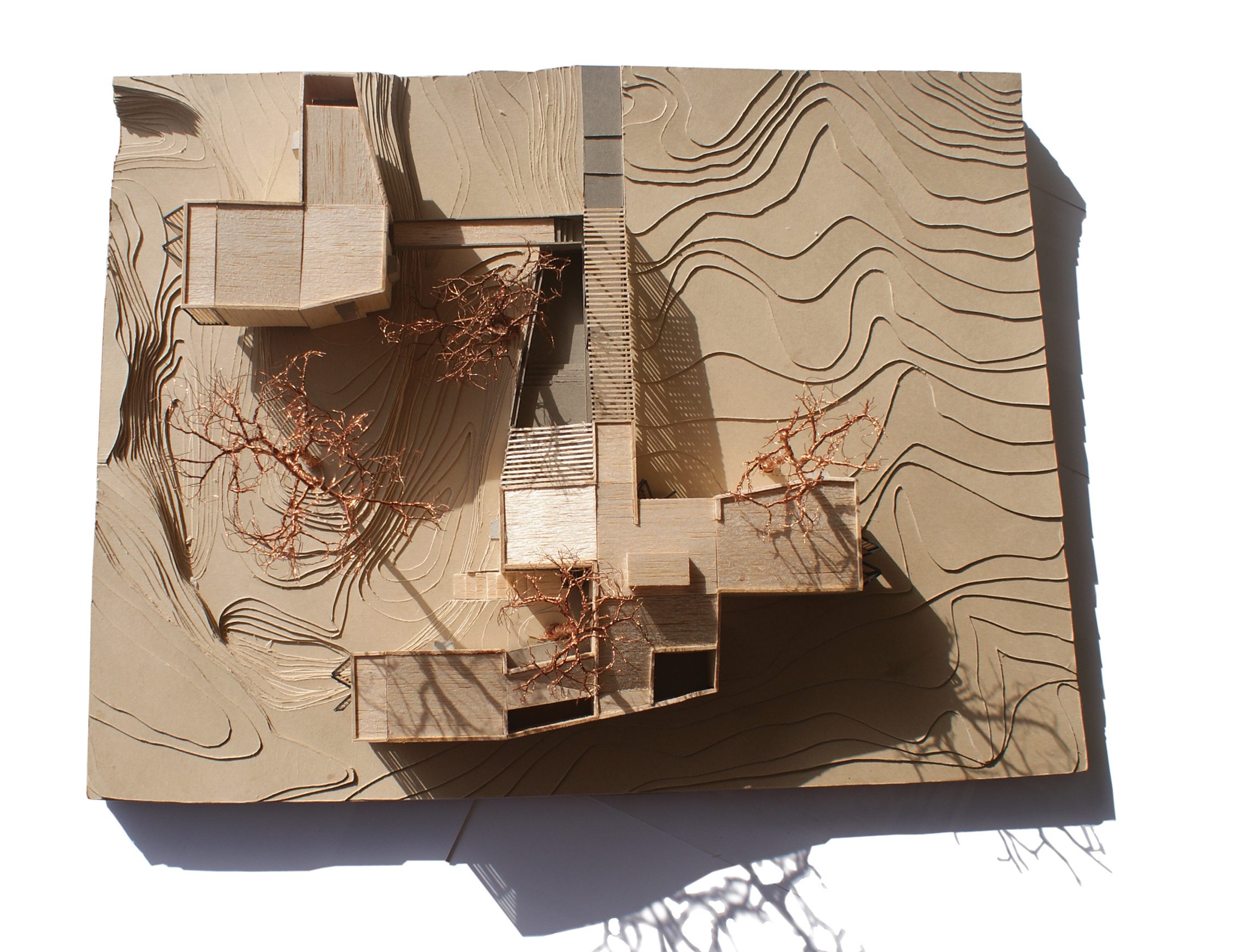 House on a Stream by Architecture BRIO - Architizer