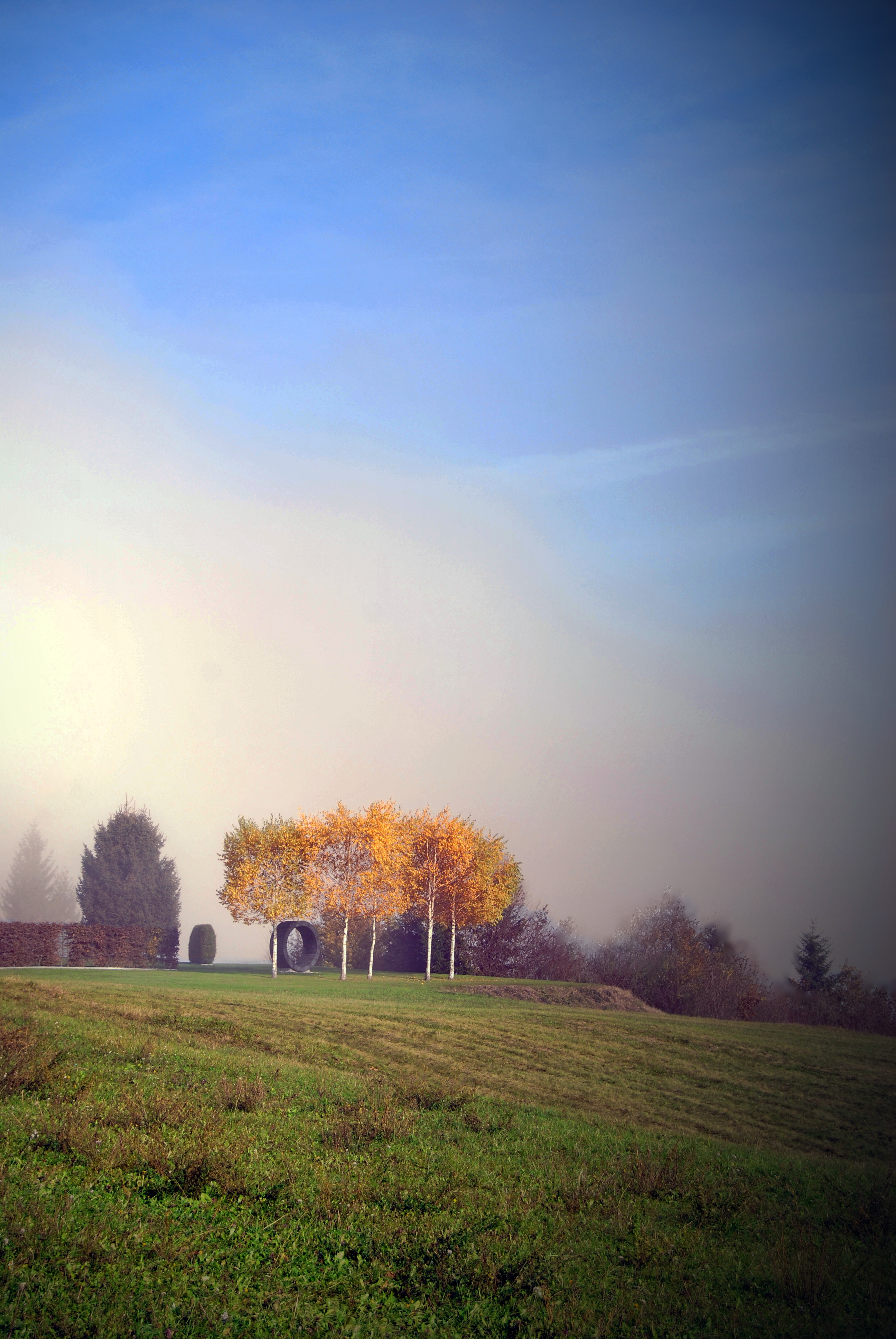 Garden of pure forms. by Landscape d.o.o. - Architizer