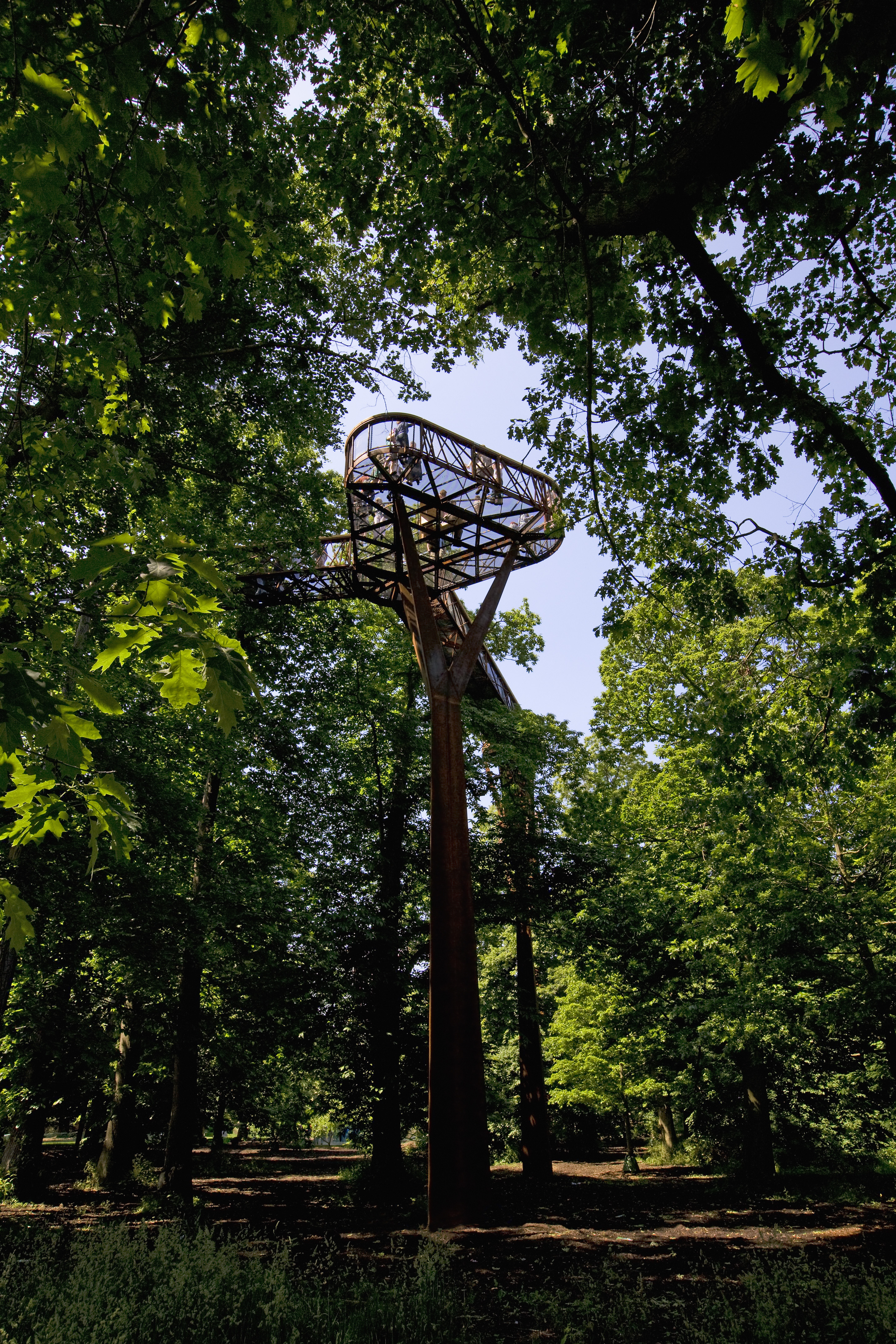 Kew Gardens Treetop Walkway - Architizer
