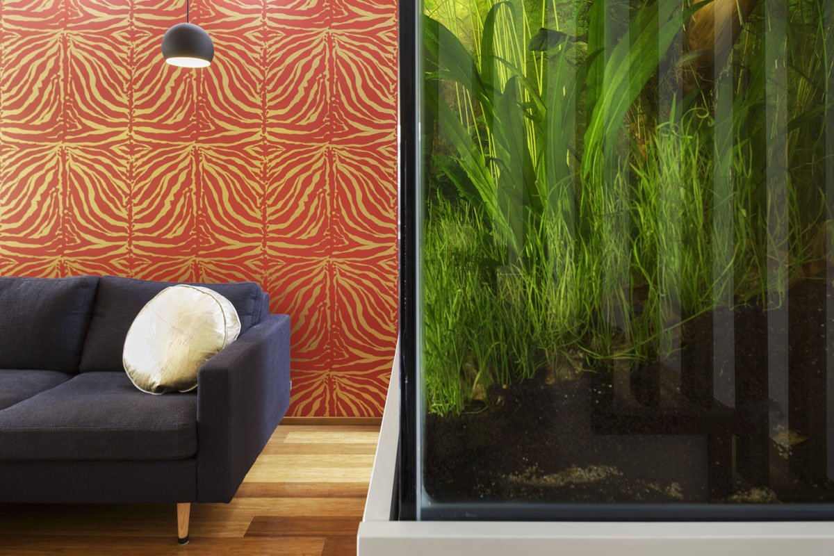 Wallflower House by Gardiner Architects - Architizer