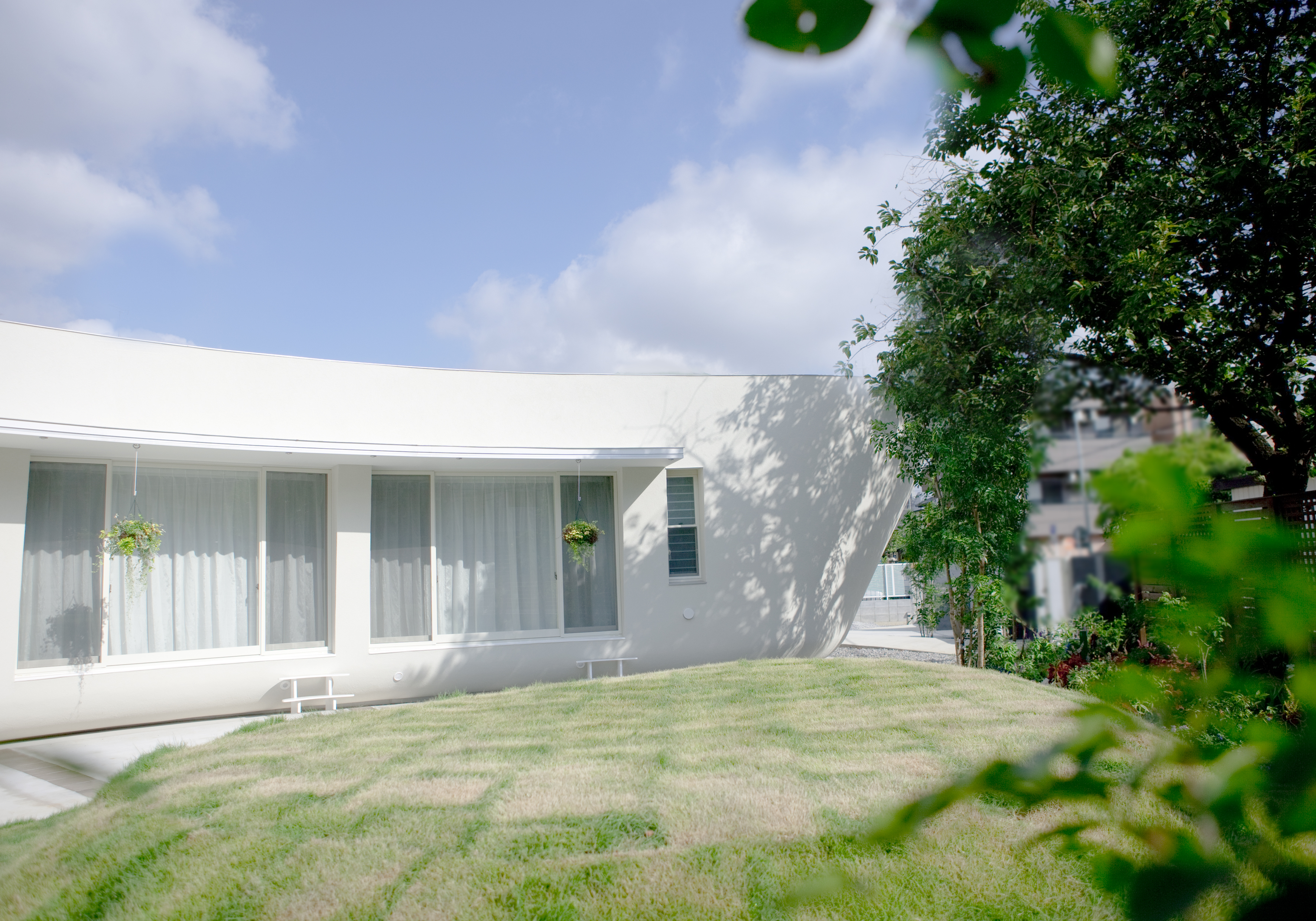 Green Screen House by Organic Design Inc. - Architizer