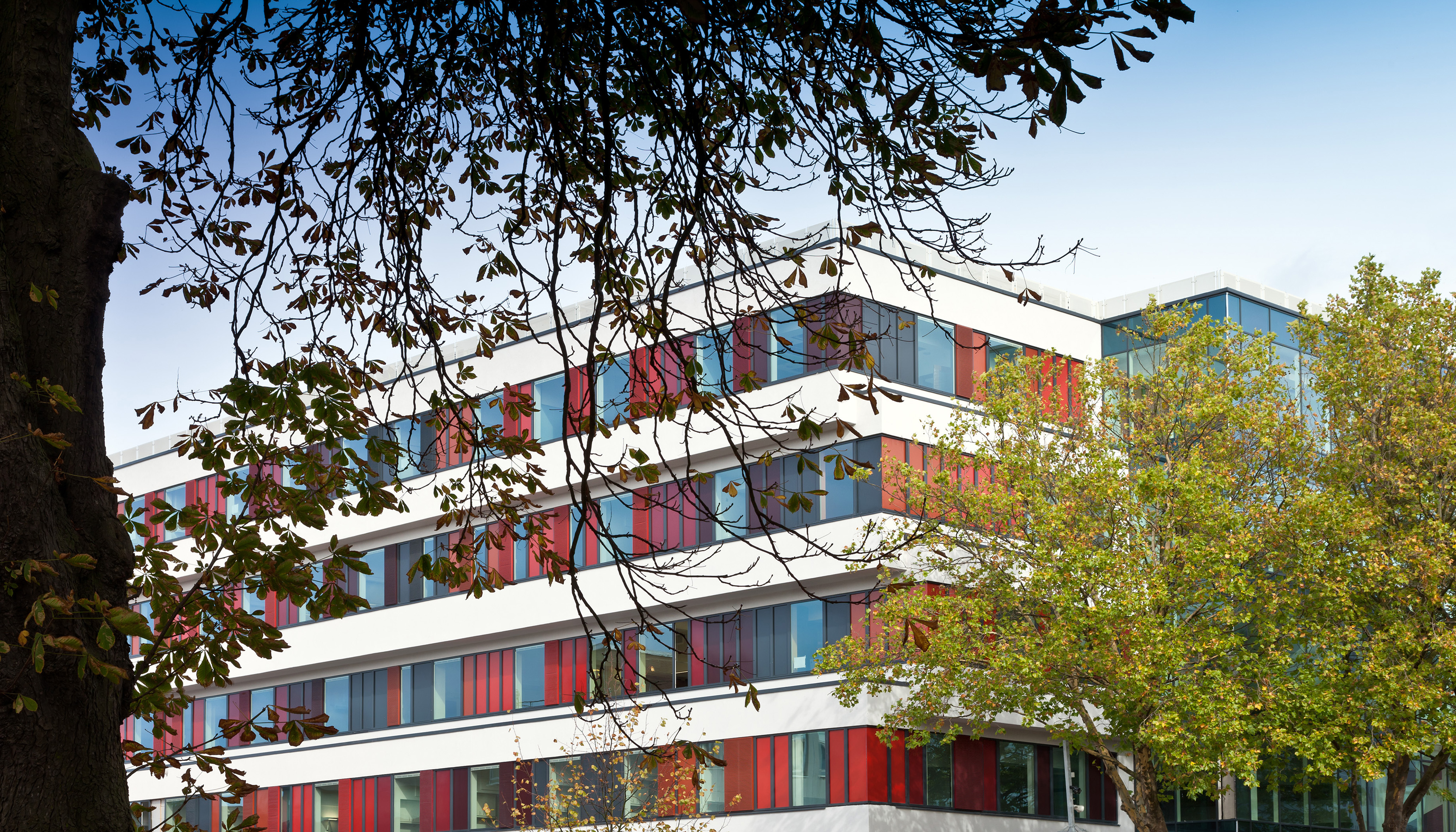 City of Coventry Health Facility by Sonnemann Toon Architects - Architizer