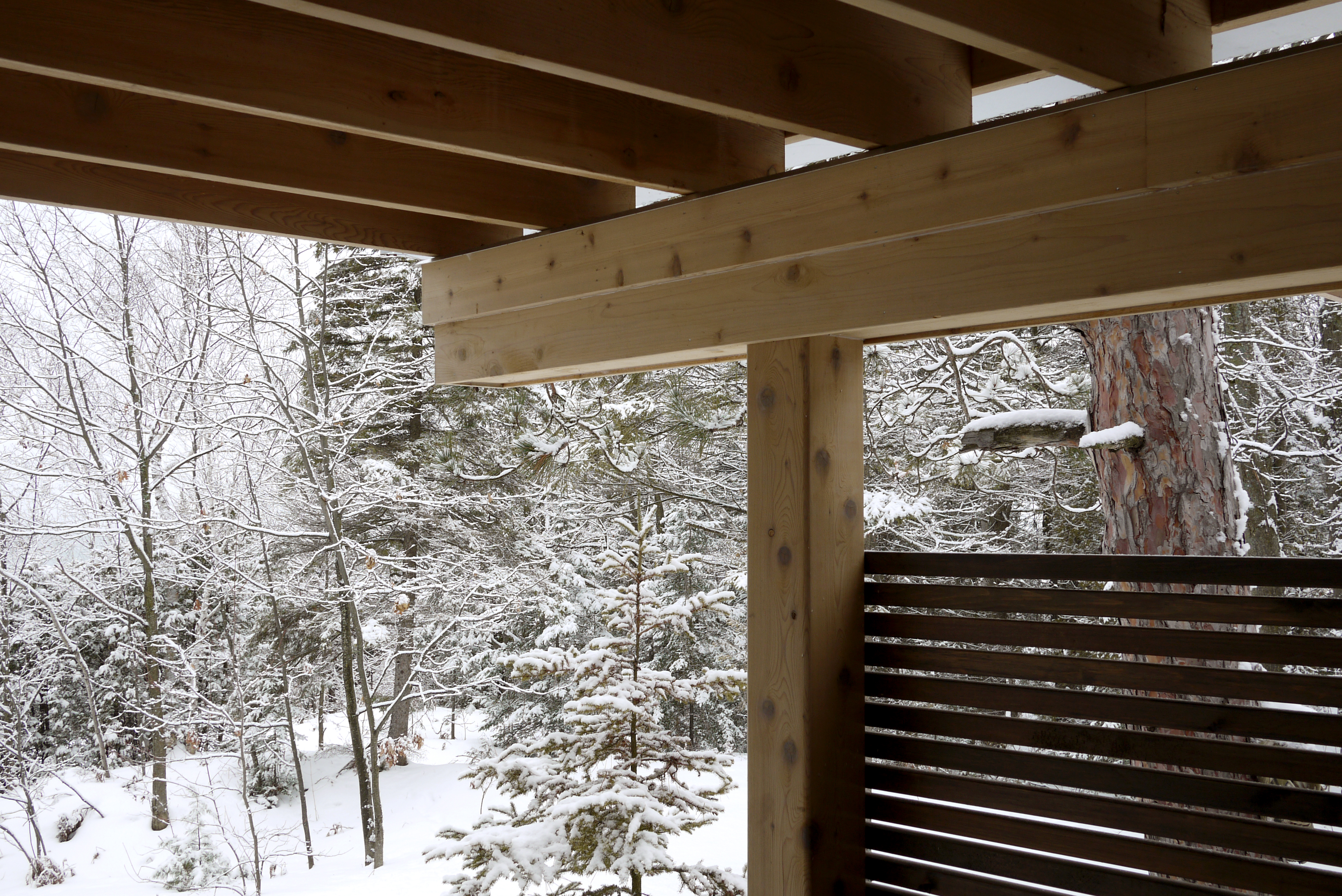 Tiny Township Cottage 01 by Tim Wickens Architect - Architizer