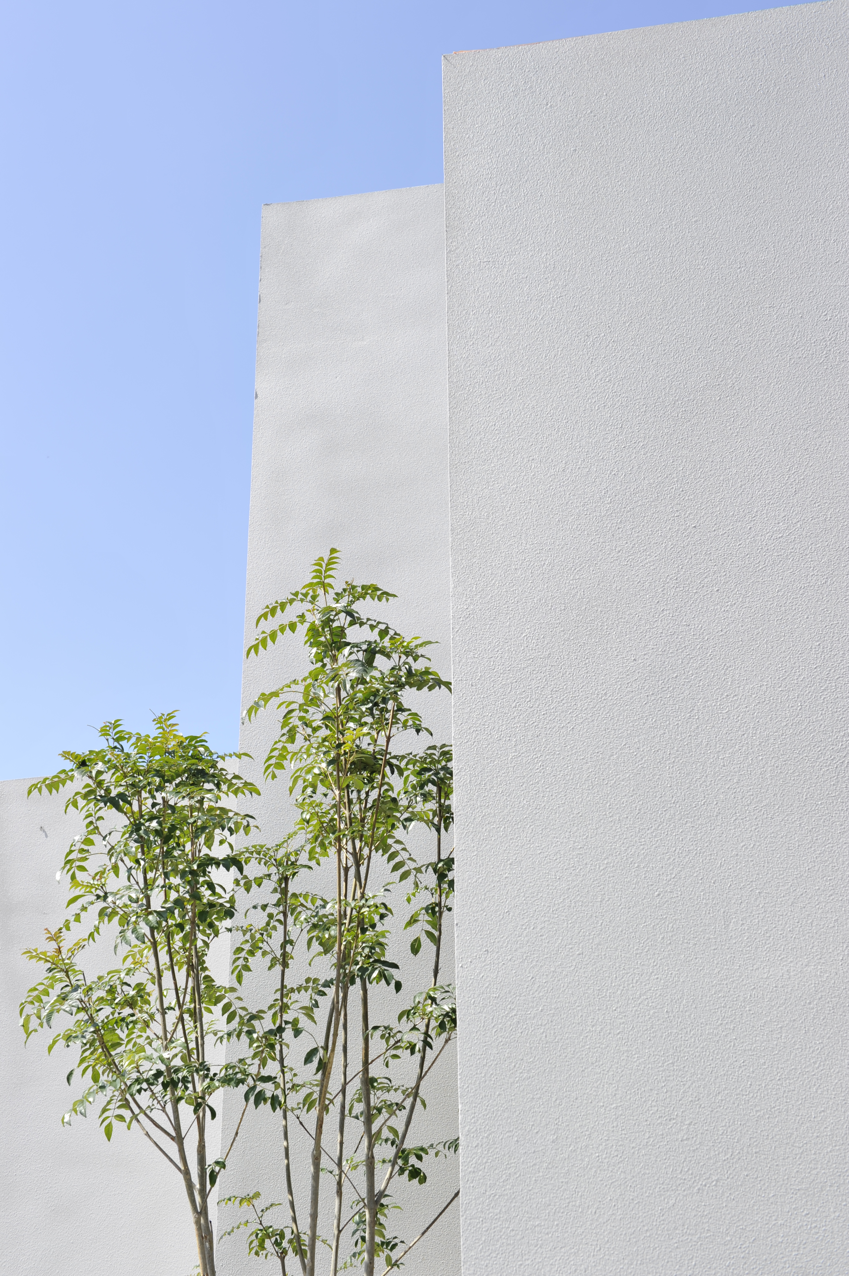 YY-HOUSE by Noriyuki Hisayasu Architect & Associates - Architizer