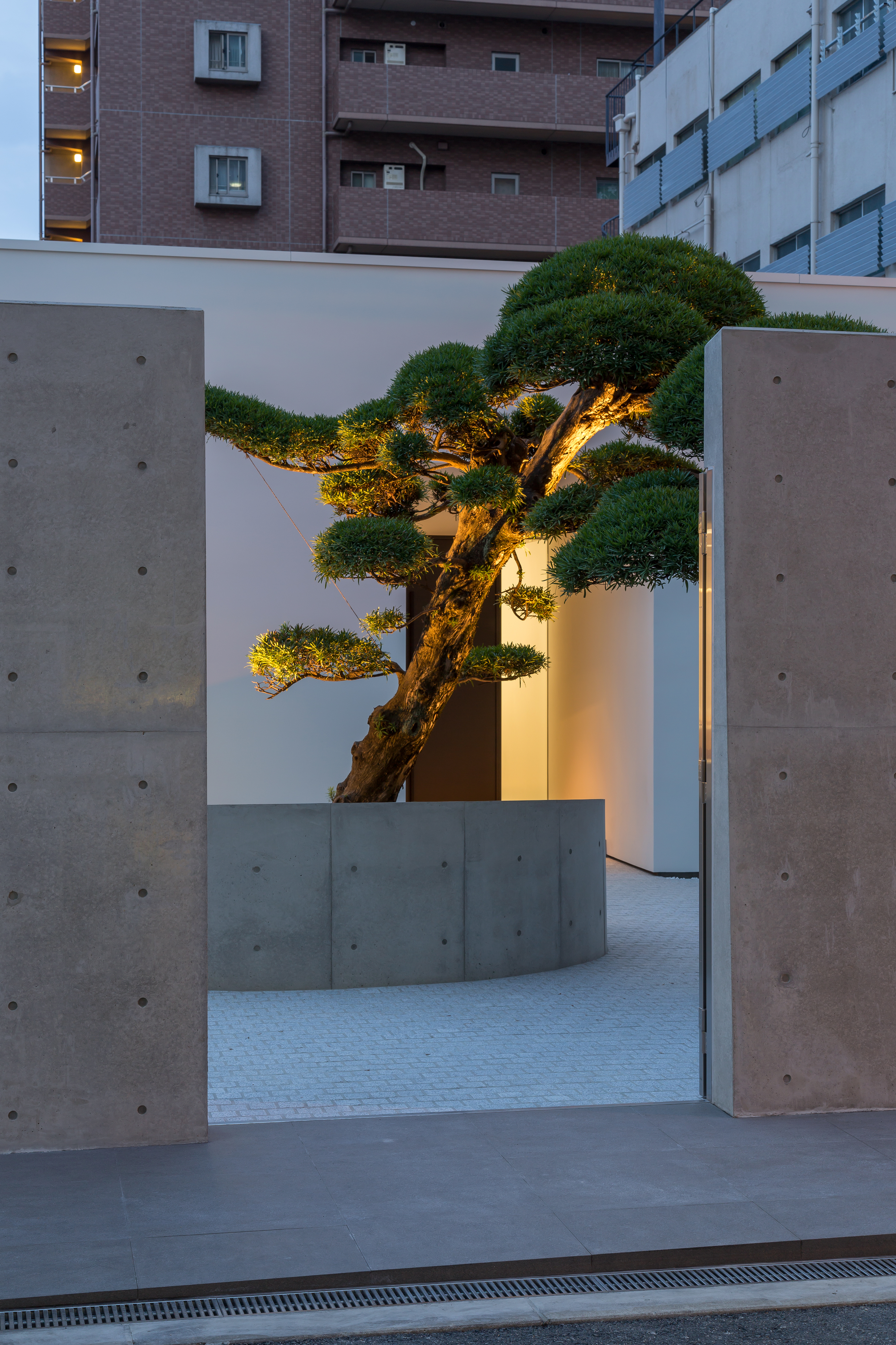 House with Podocarpus by Mifune Design Studio - Architizer