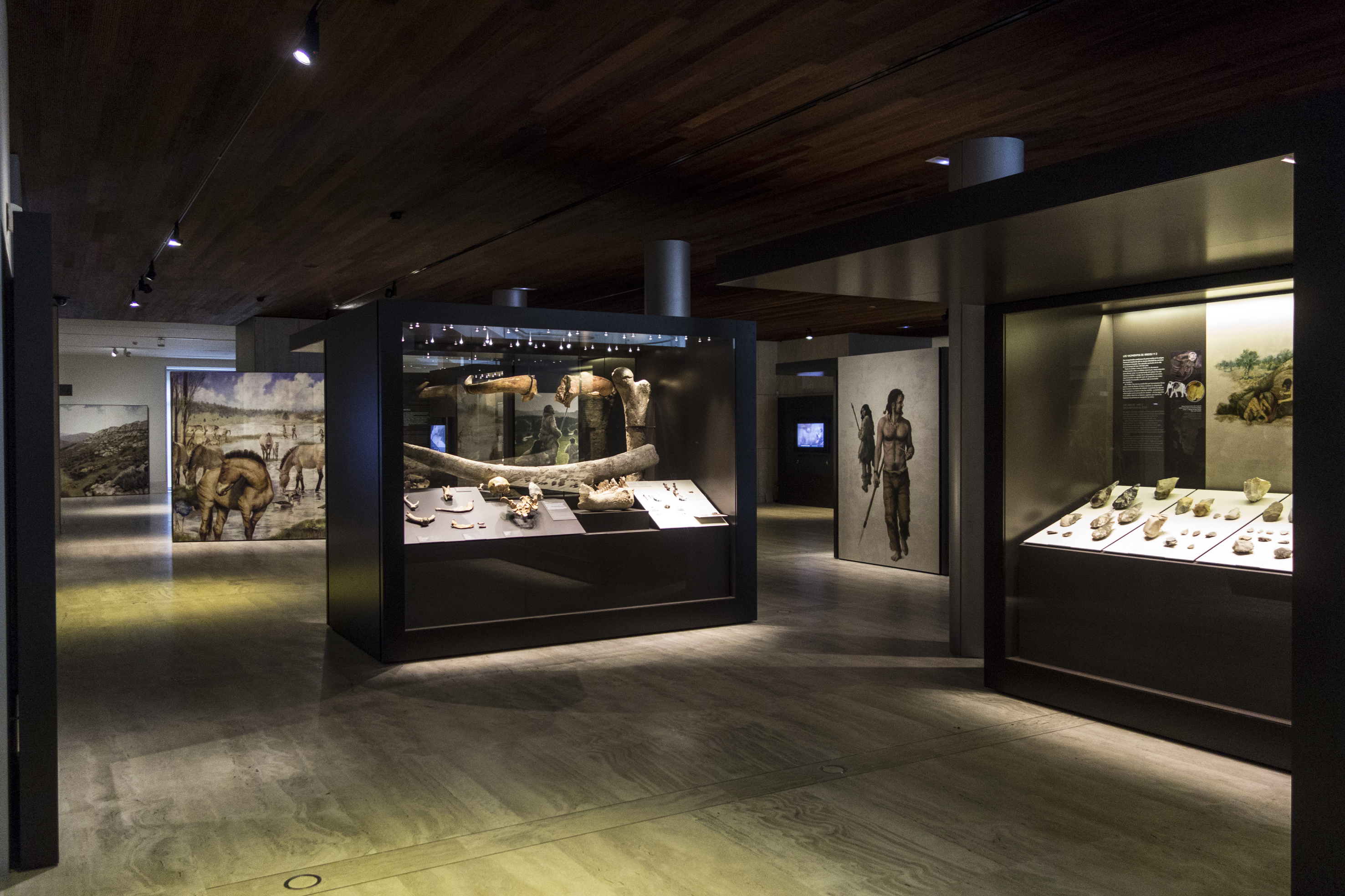 National Archaeological Museum Remodeling and Museography by Frade ...