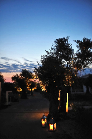 OLION VILLAS by NOVALIS TERRA SA - Architizer