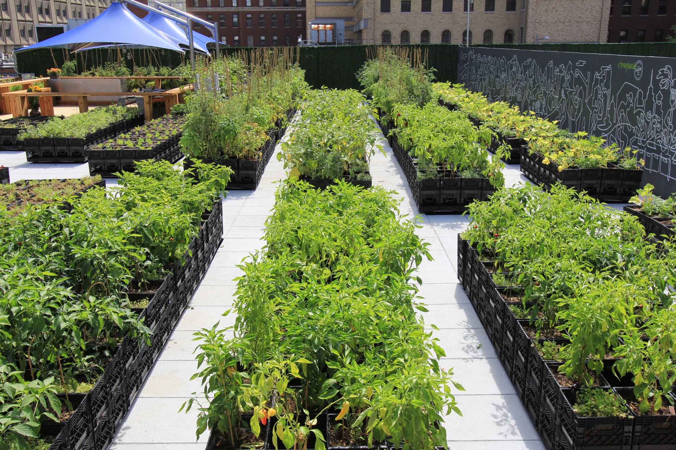 Riverpark Farm by ORE Design + Technology - Architizer