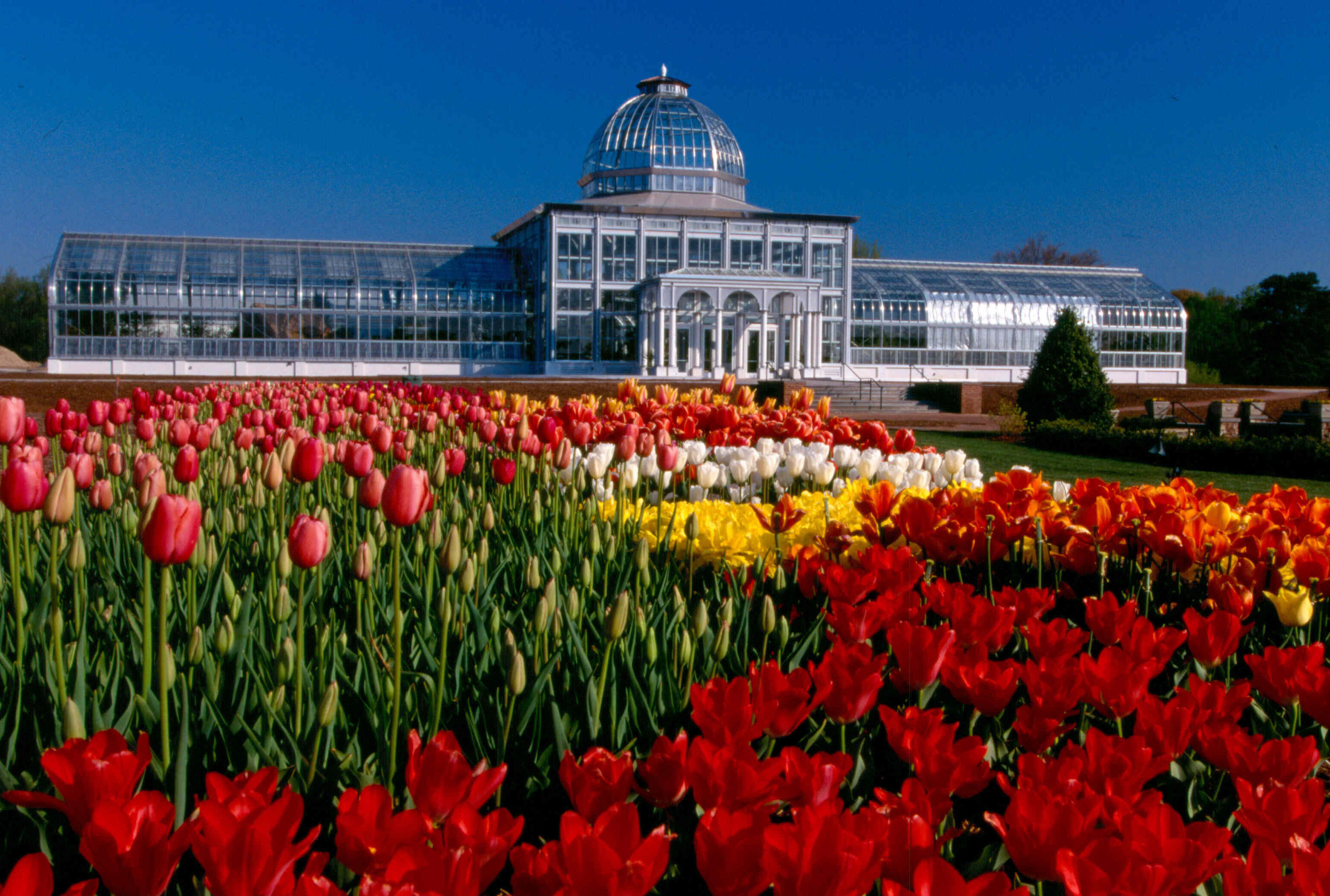 Washington Hall of the Historic Colonnade, Washington and Lee ...