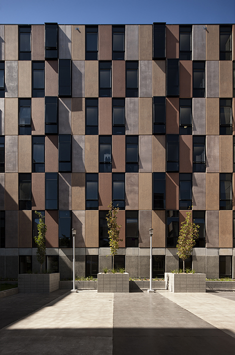 Carlaw Park Student Accommodation by Warren and Mahoney - Architizer