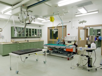 Hogle Zoo Animal Hospital by Juliet Koczak Architect - Architizer