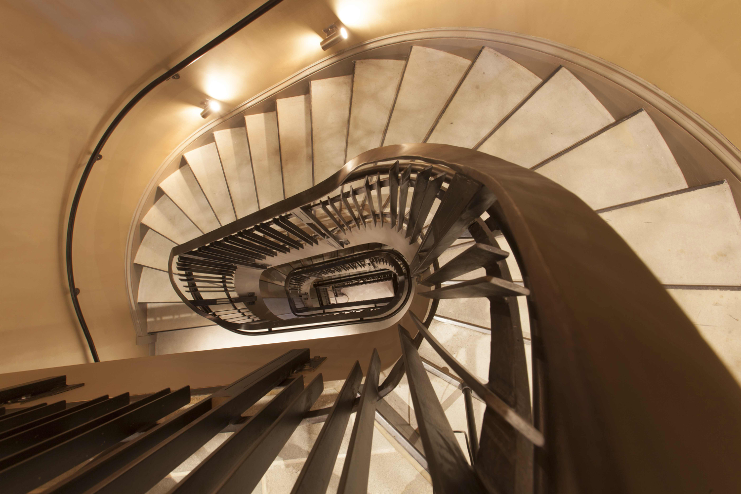 RH Boston - The Gallery at the Historic Museum of Natural History by ...