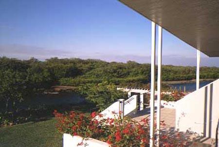 Shoar Residence by Suzanne Martinson Architects, Inc. - Architizer