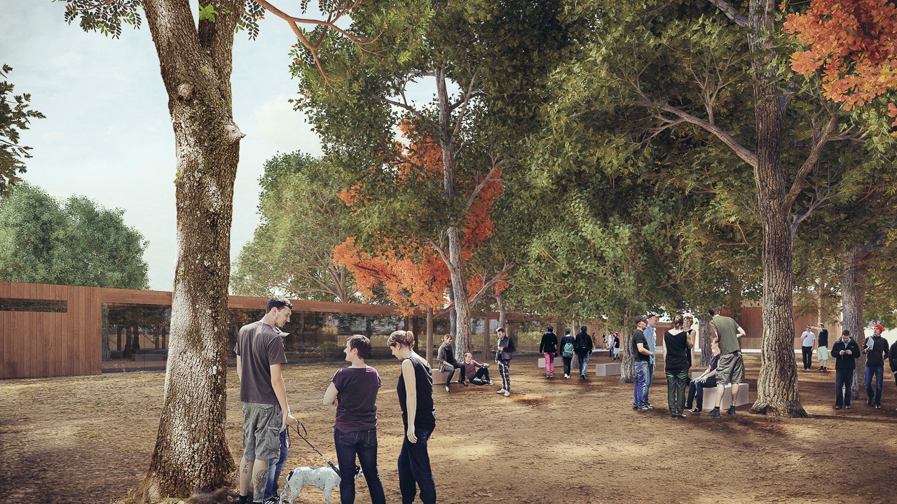 Regeneration of Parco delle Sughere (Cork Oaks Park) by sundaymorning ...