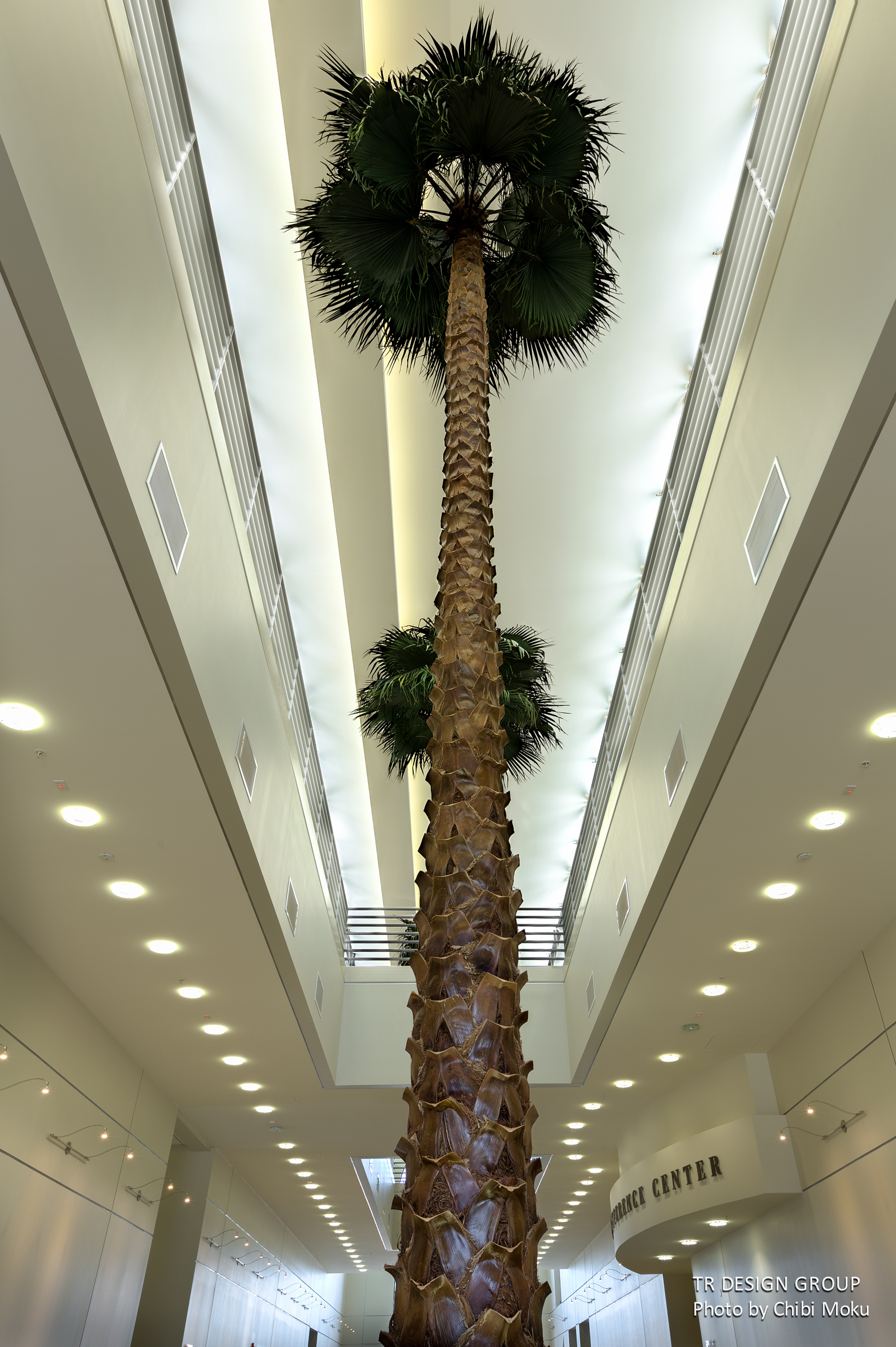 La Sierra University | TR Design Group | Riverside, CA by Chibi Moku ...