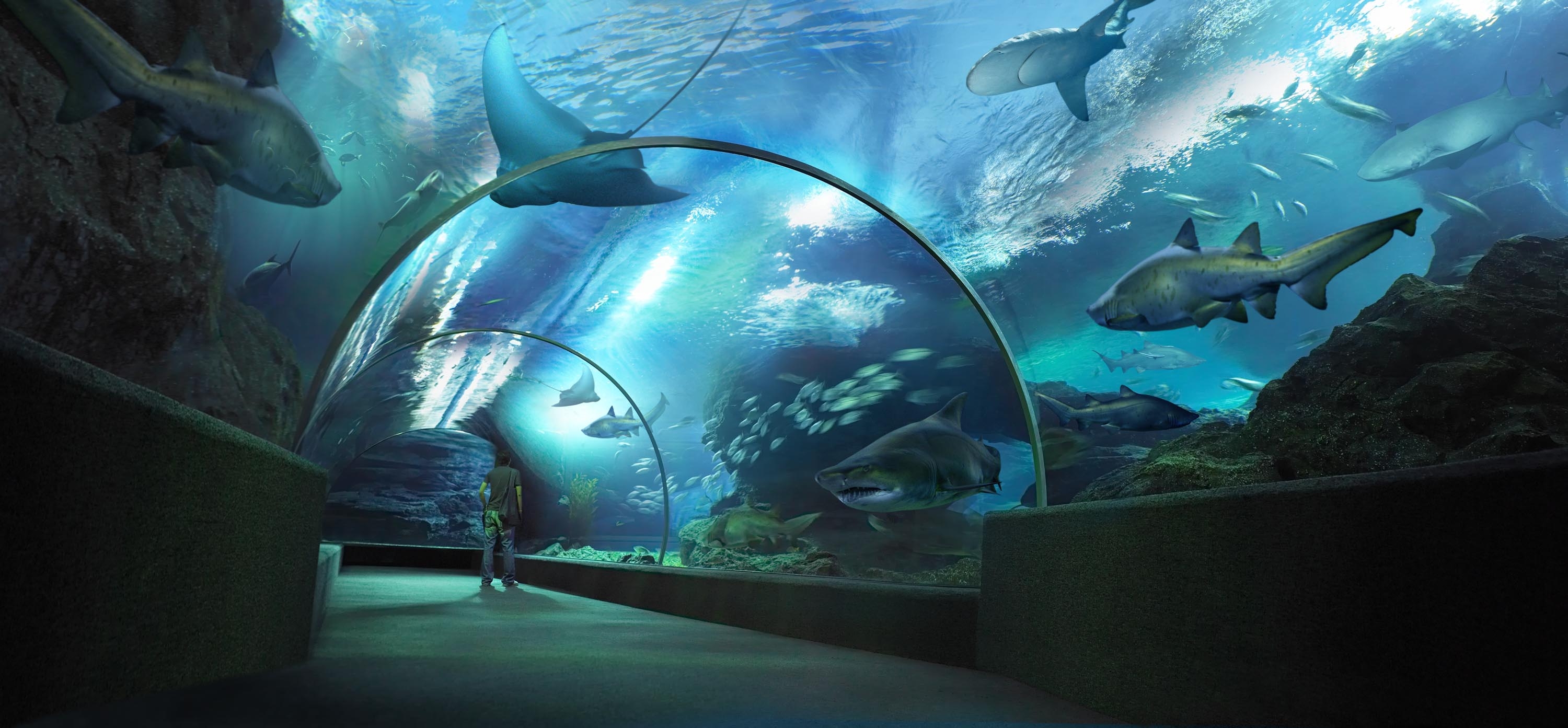 Siam Ocean World by WGC International (Audiovisual, Lighting and ...