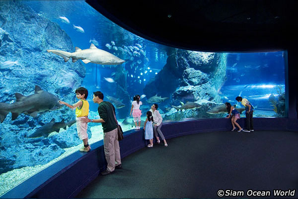Siam Ocean World by WGC International (Audiovisual, Lighting and ...