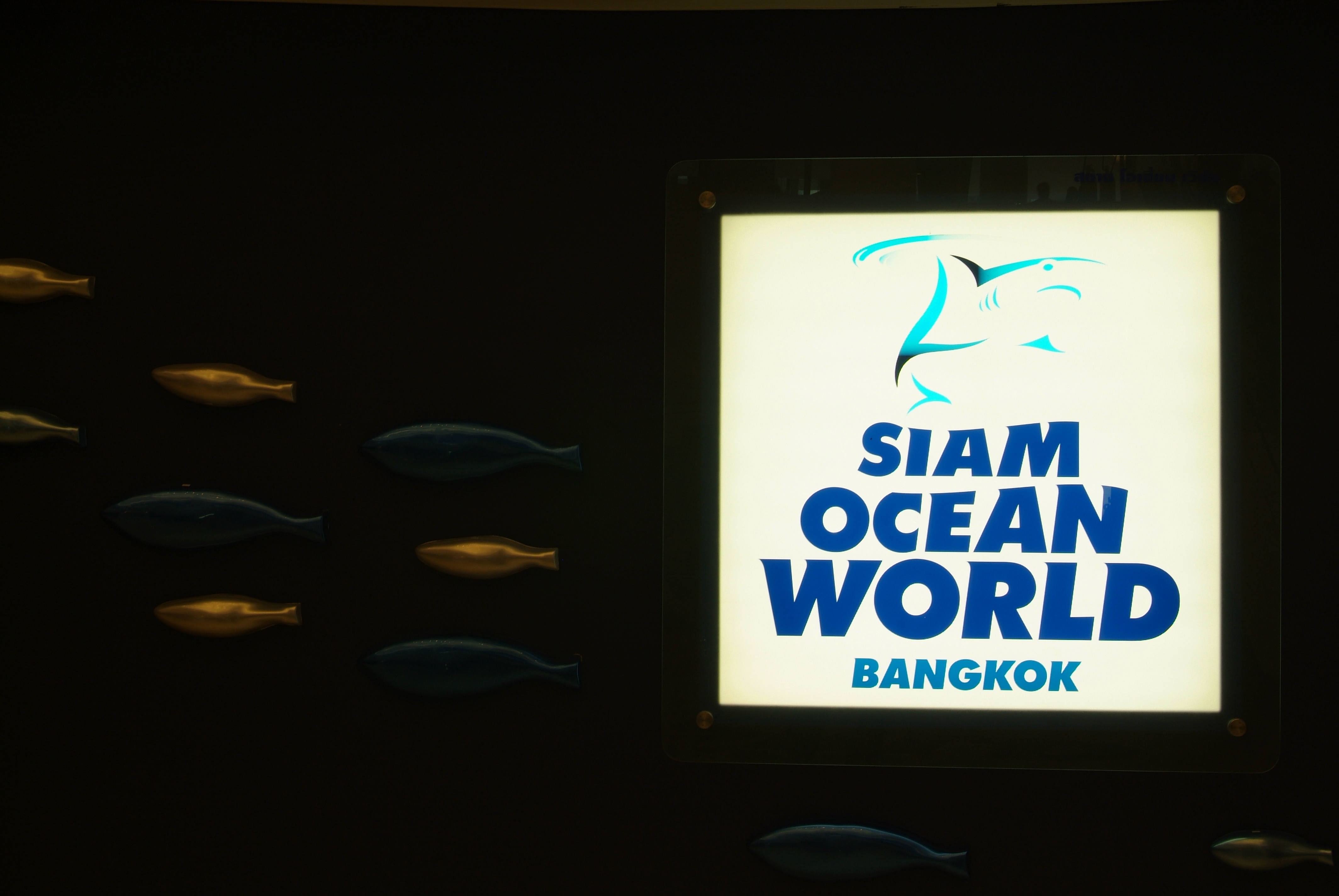 Siam Ocean World by WGC International (Audiovisual, Lighting and ...
