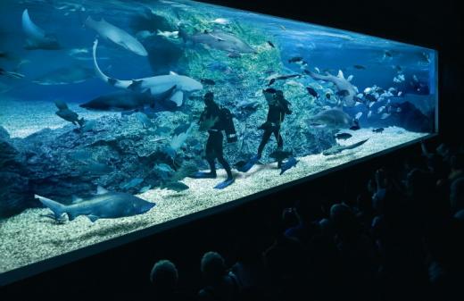 Siam Ocean World by WGC International (Audiovisual, Lighting and ...