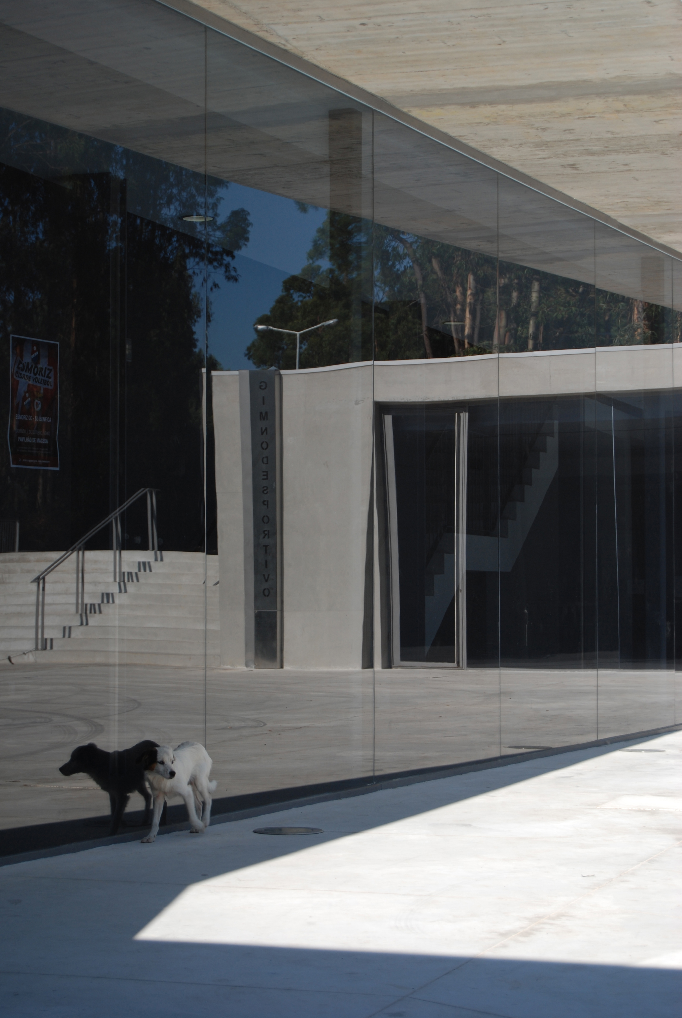 Maceda Sports Building by Architailors - Architizer