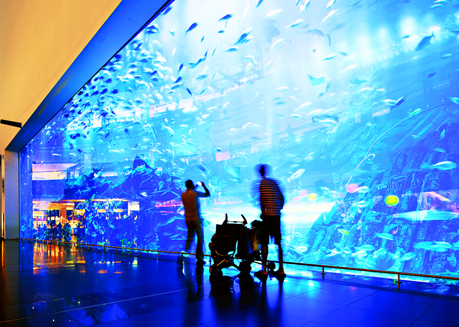 Designing the Retail Space: Case Studies by DP Architects - Architizer