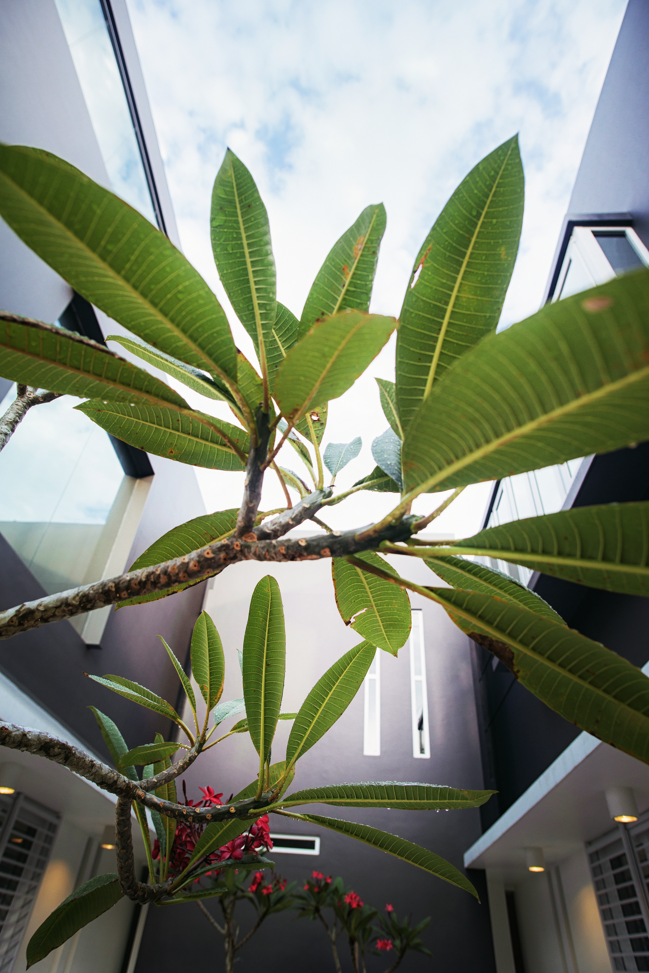 The Bunker House by Code Red Studio - Architizer