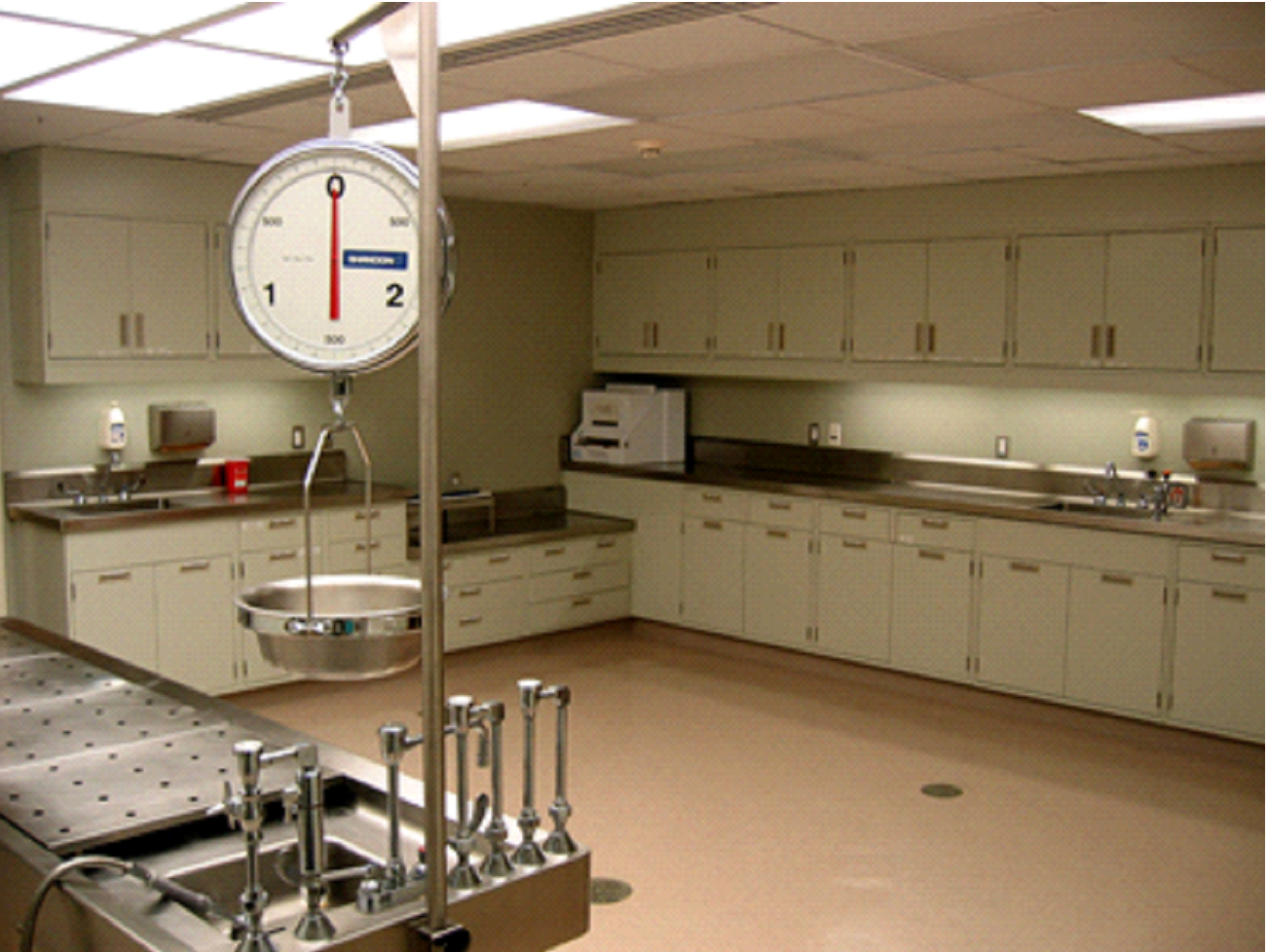 Pathology & Laboratory Medicine Renovation by Cuschieri Horton ...
