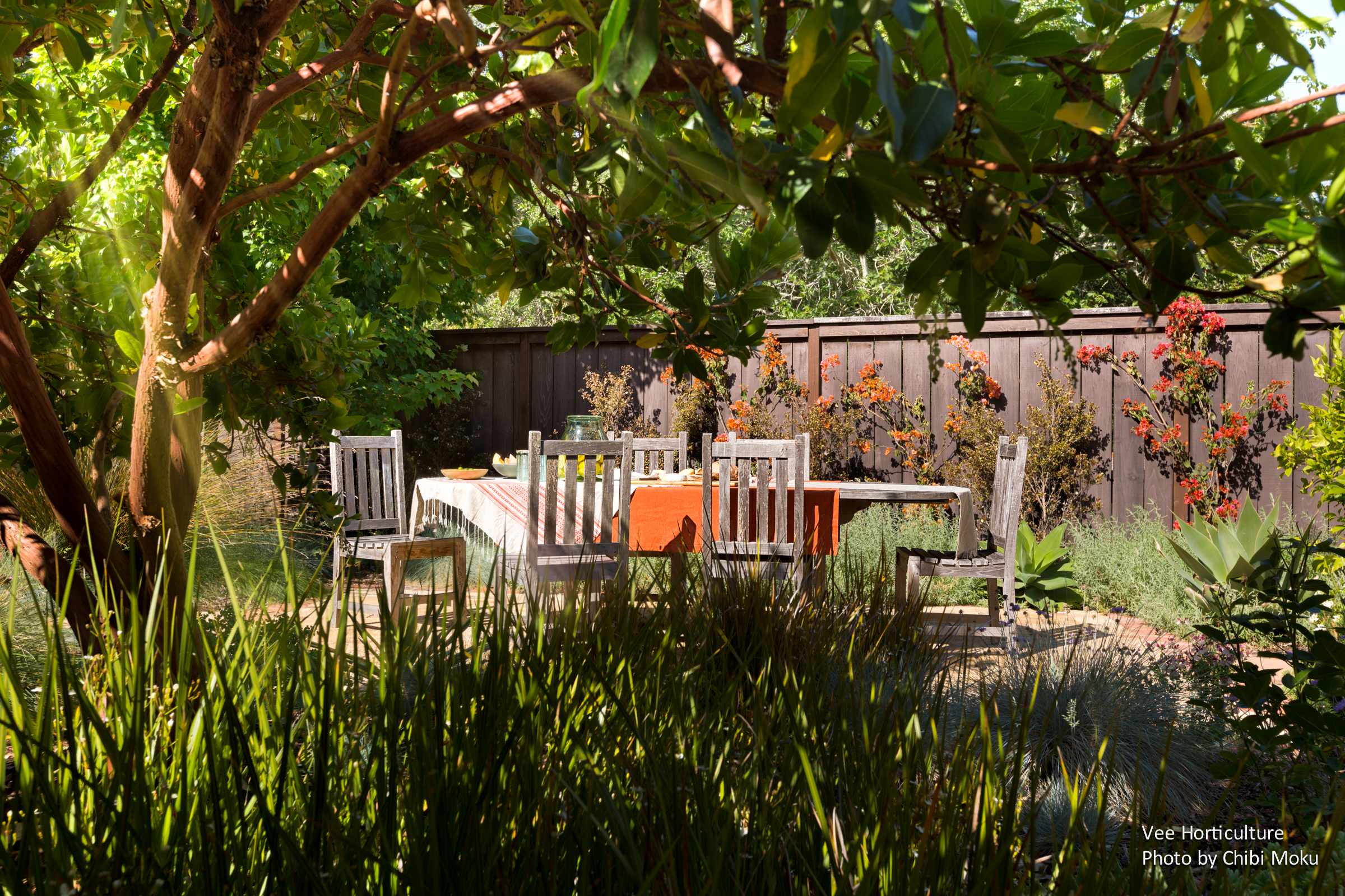 Vee Horticulture | Landscape Design for the Bay Area : Sensual Gardens ...