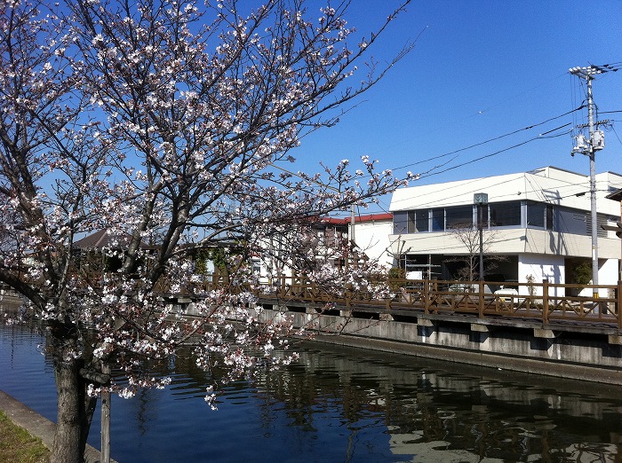 RIVER PARK HOUSE by MITSUTOSHI OKAMOTO ARCHITECT OFFICE - Architizer