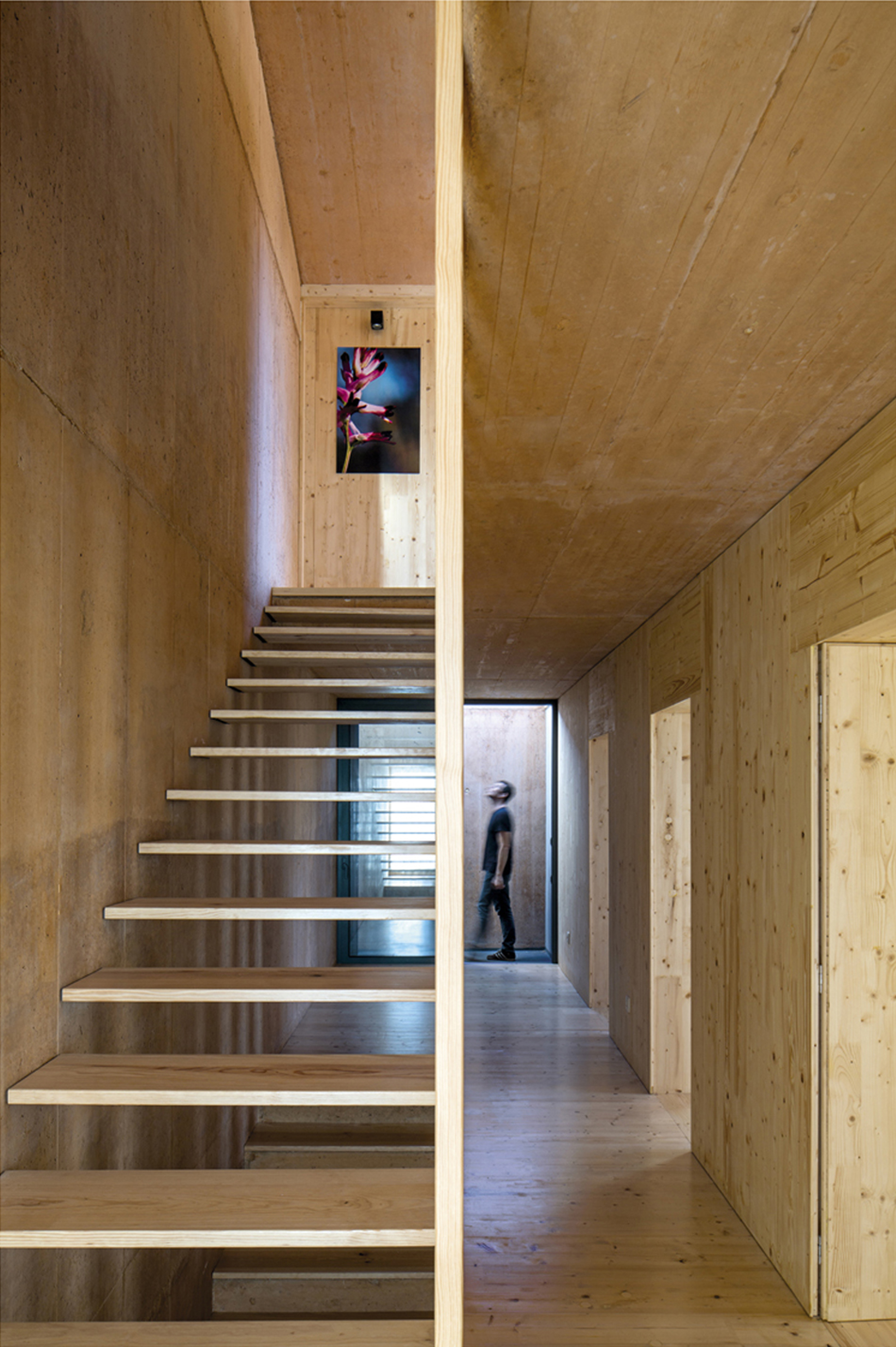 Zé House by PARATELIER - Architizer