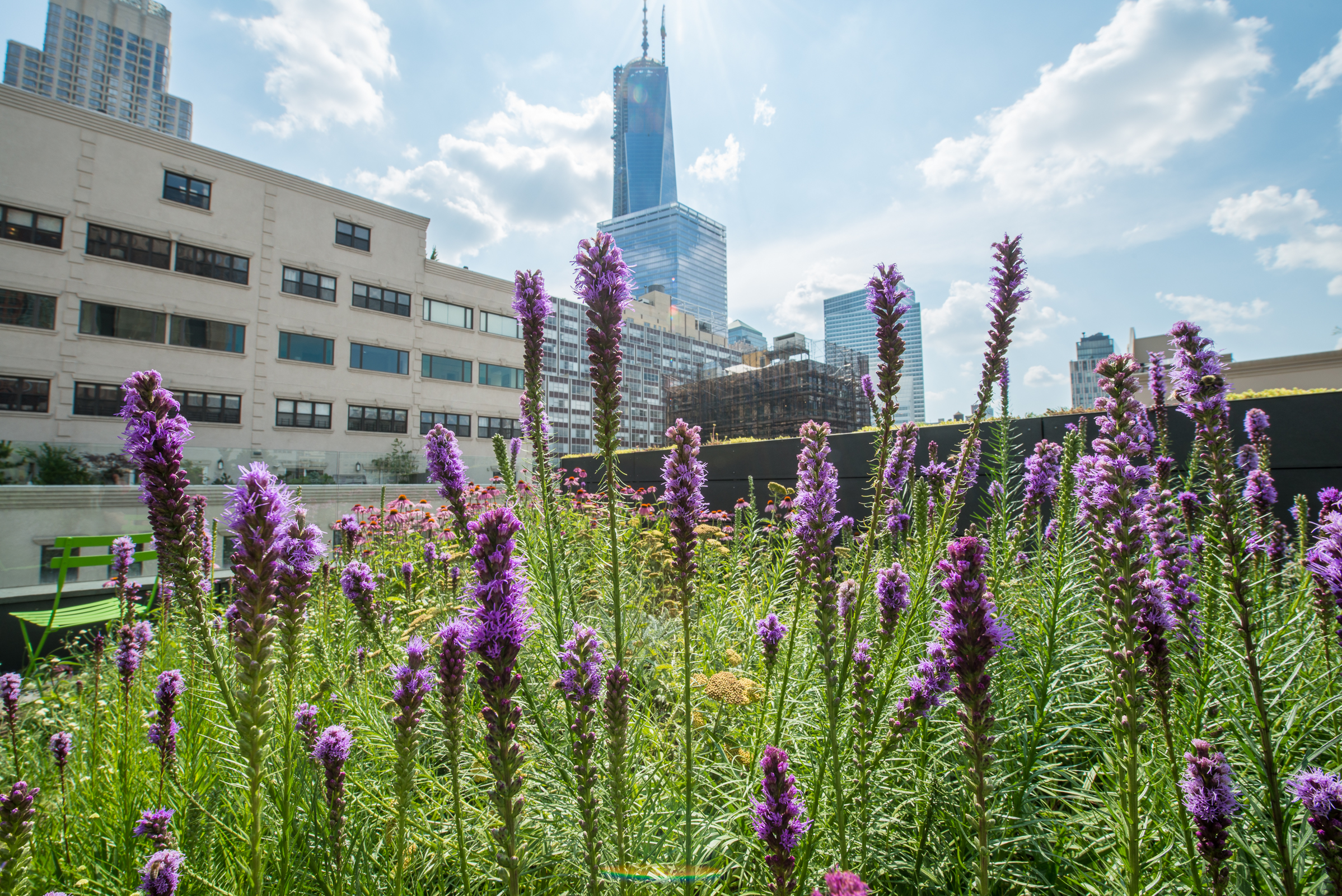 Future Green Landscape Architecture DPC - Architizer